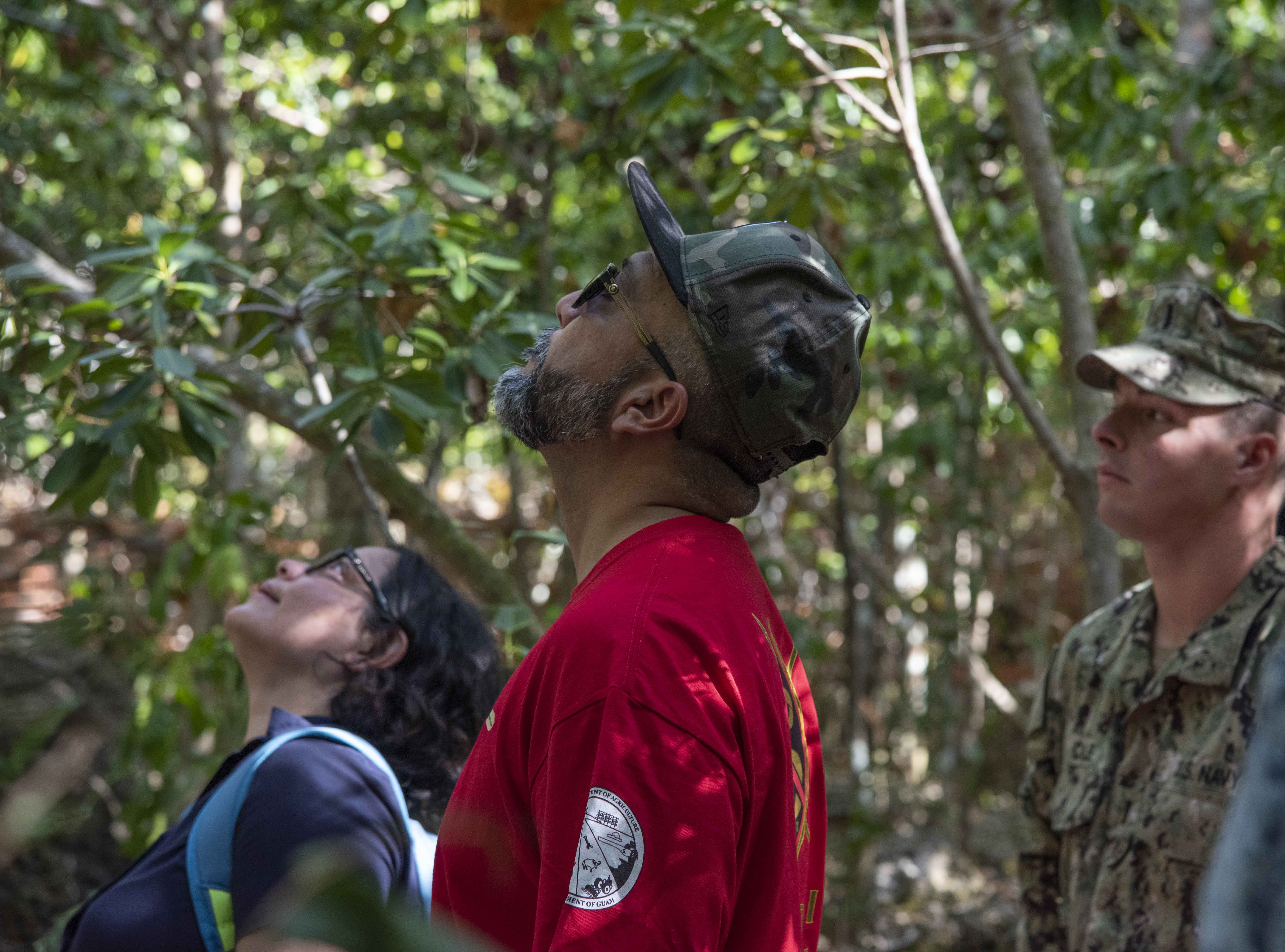 Guam Senators, Military Leaders Visit Endangered Species at Northwest ...