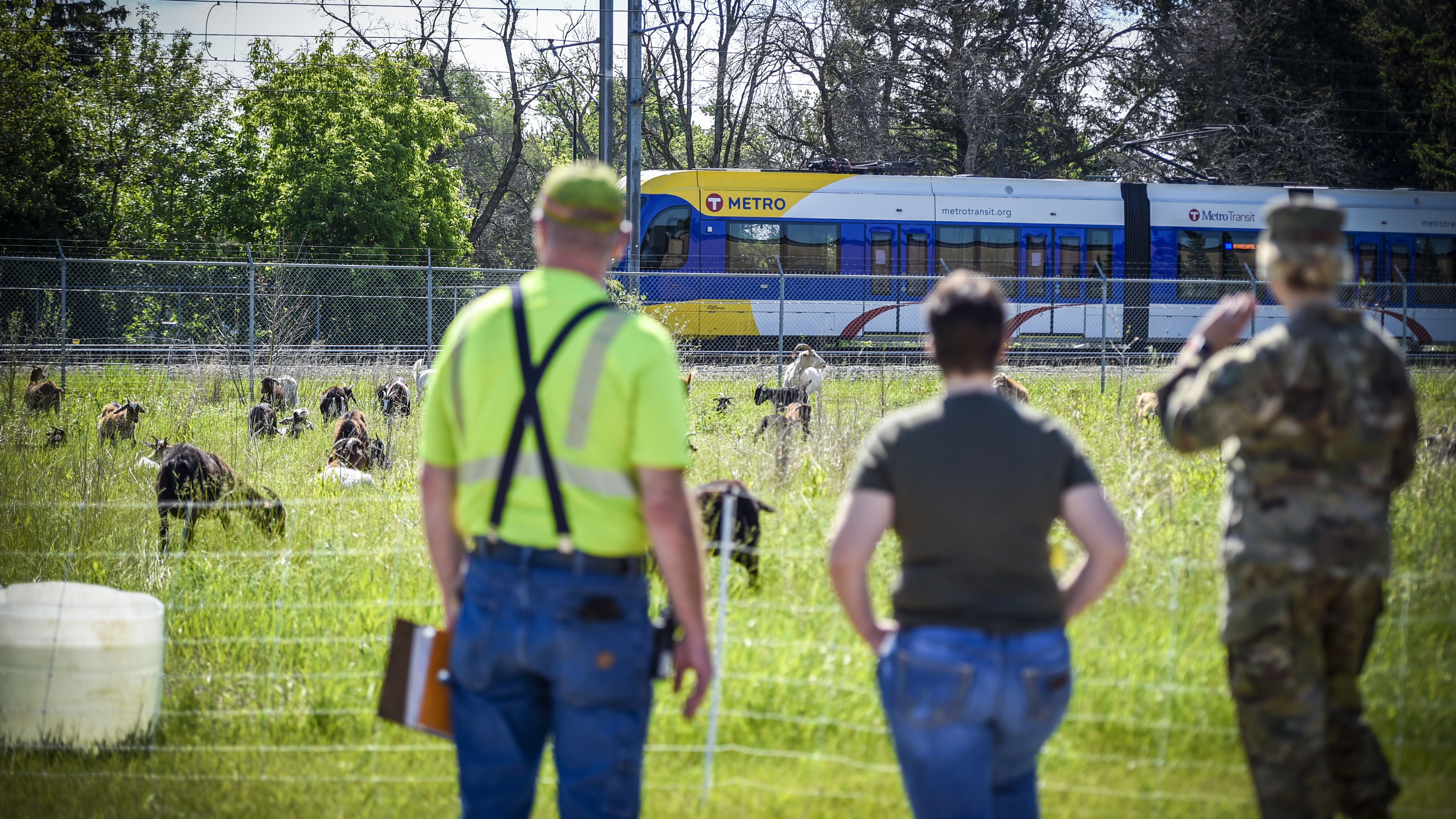 The Goat Solution > Air National Guard > Article Display
