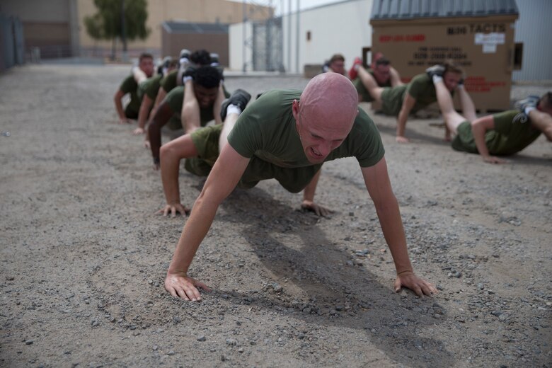 Maintaining Peak Physical Fitness > Marine Corps Air Station Yuma > Article
