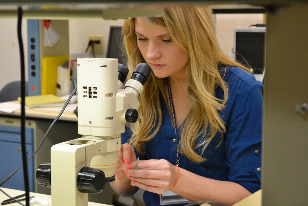 NSWC Crane scientist takes initiative to carve her own career path ...