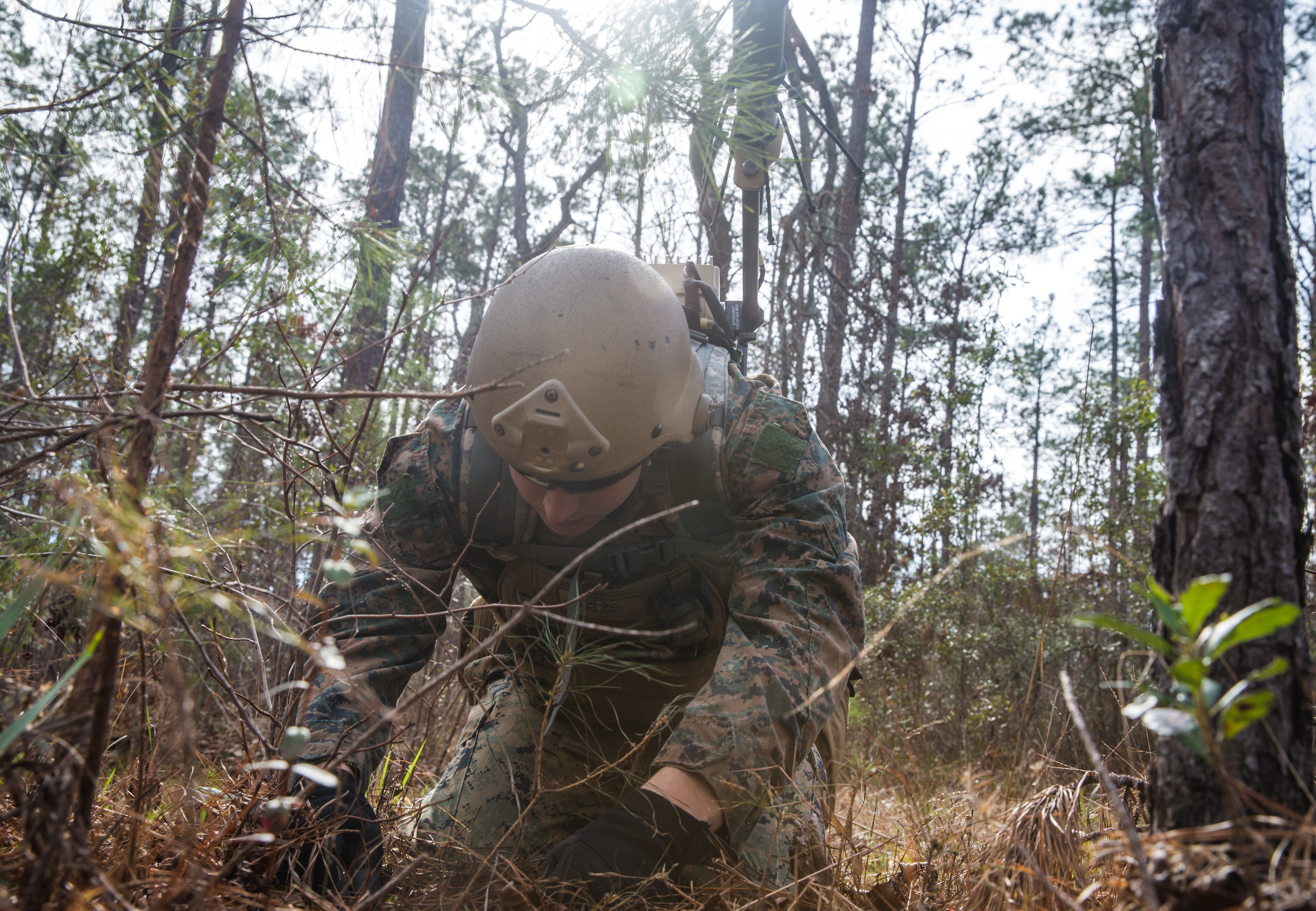 Bombs Away! Explosive ordnance technicians get a head start on training ...