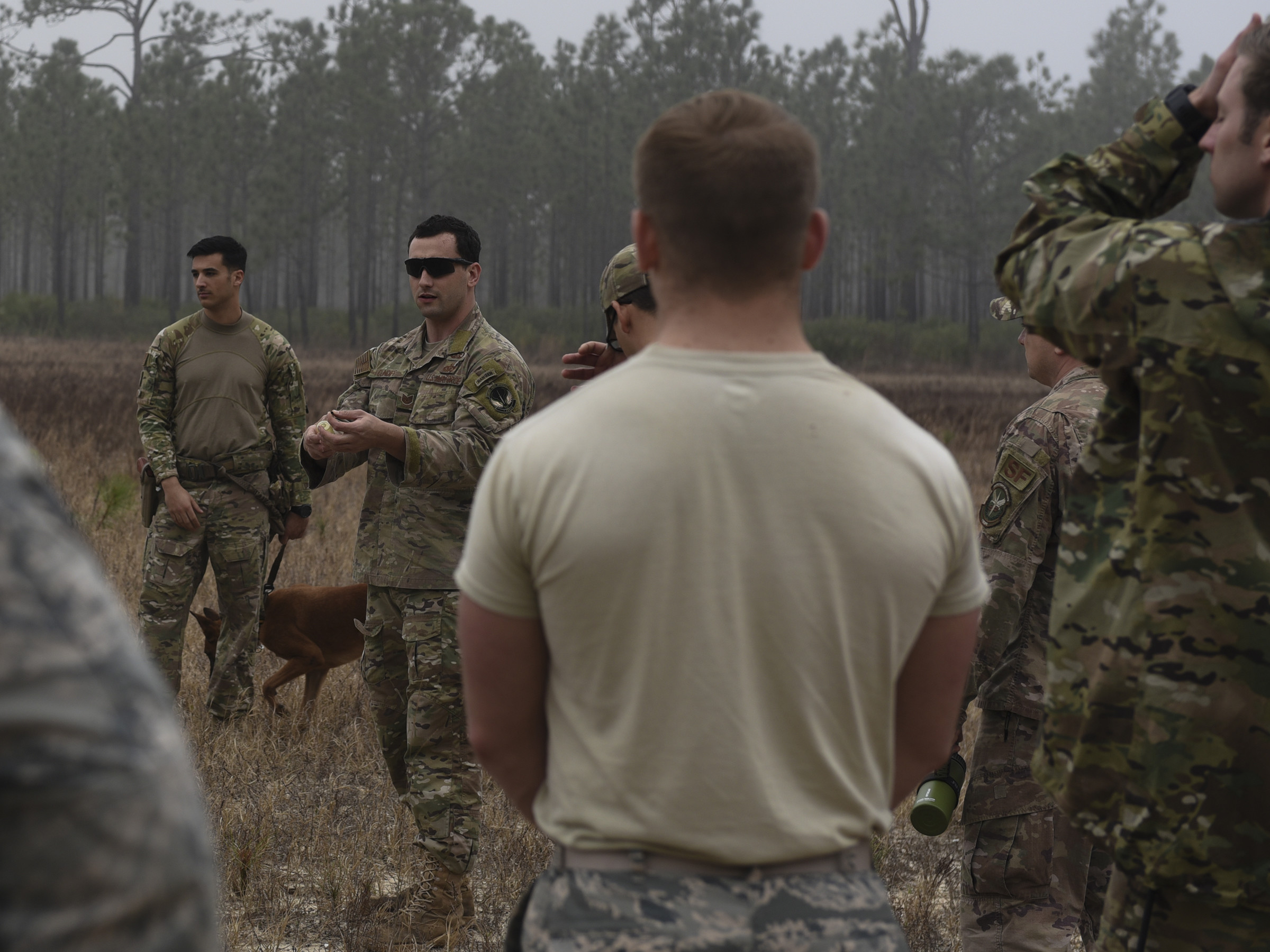 Security forces K-9 handlers visit Hurlburt to sniff out explosive ...