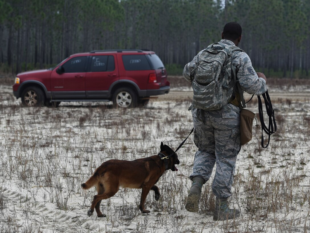 Security forces K-9 handlers visit Hurlburt to sniff out explosive ...