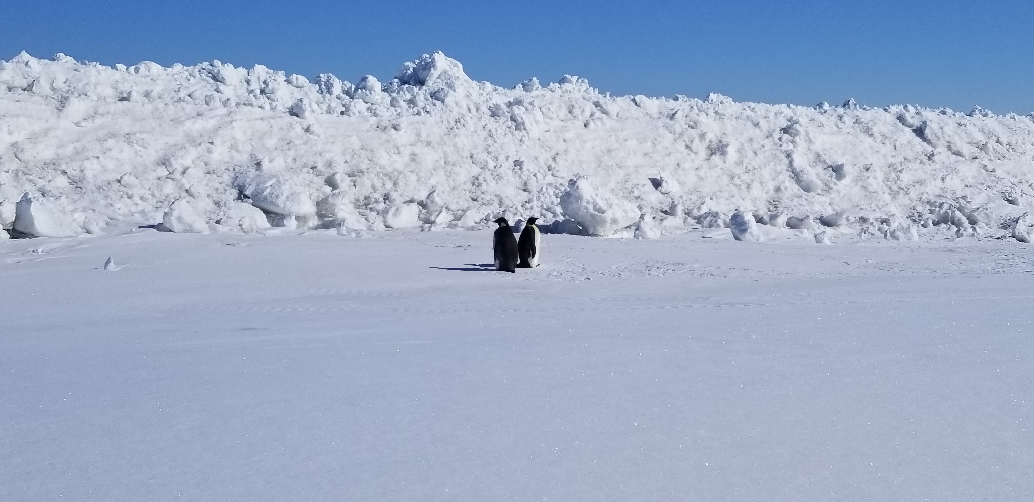 Beyond Endurance: Keeping Airmen Safe in the Most Inhospitable Place on ...