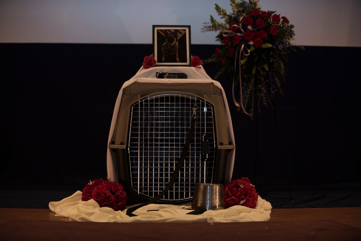 Honoring a fallen hero: MWD Nemo > Air Force Security Forces Center ...