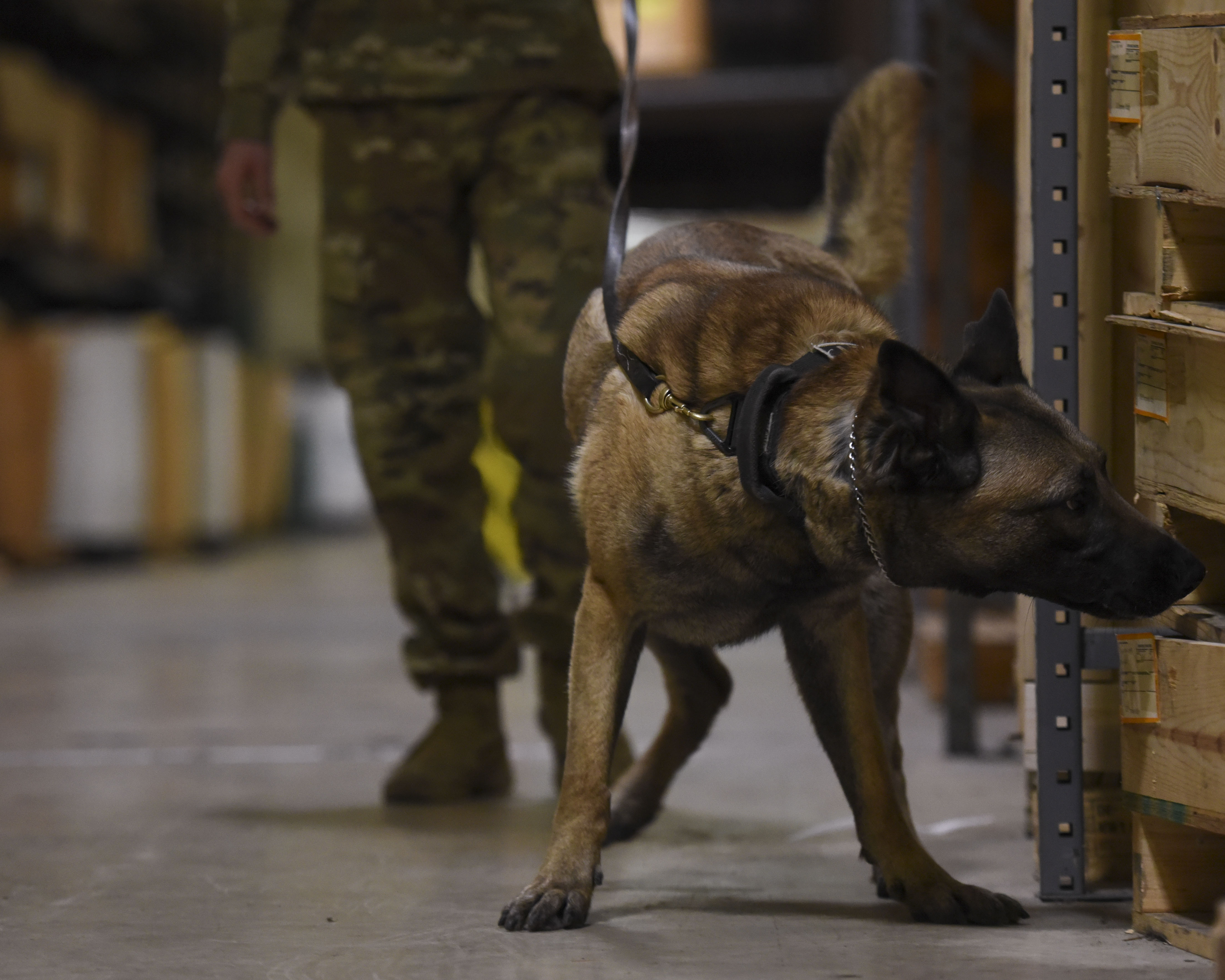 FBI brings explosive training to JBLE > Joint Base Langley-Eustis ...