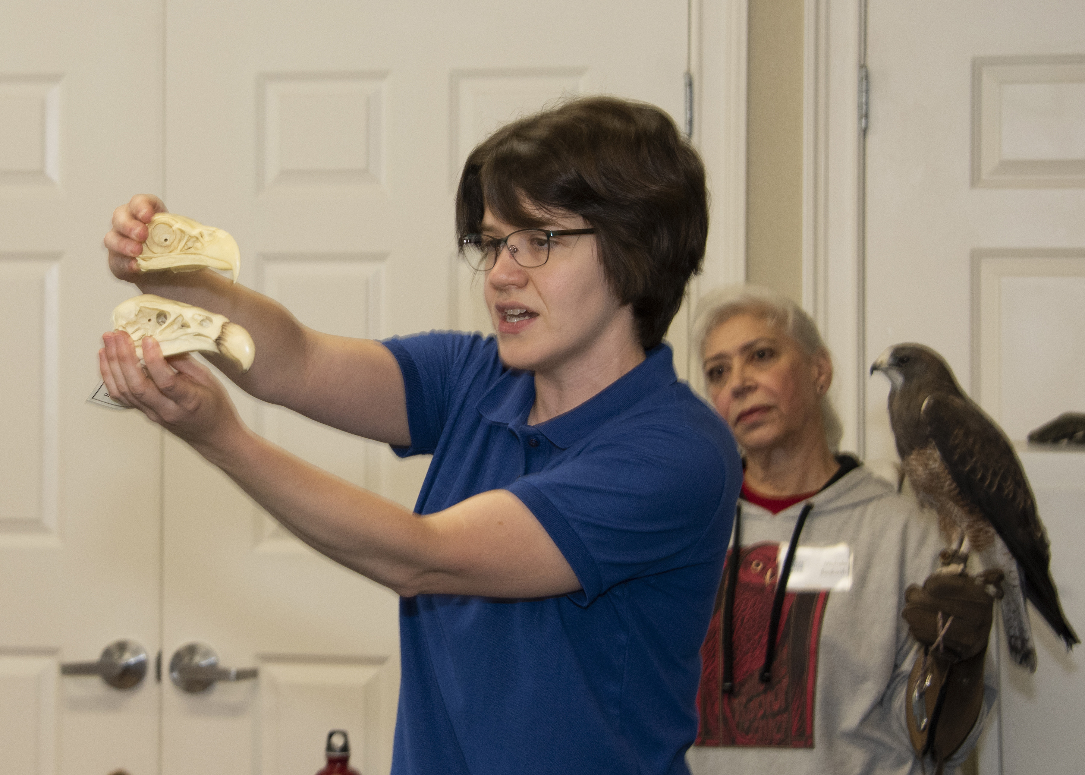 California Raptor Center visits Travis AFB > Travis Air Force Base ...