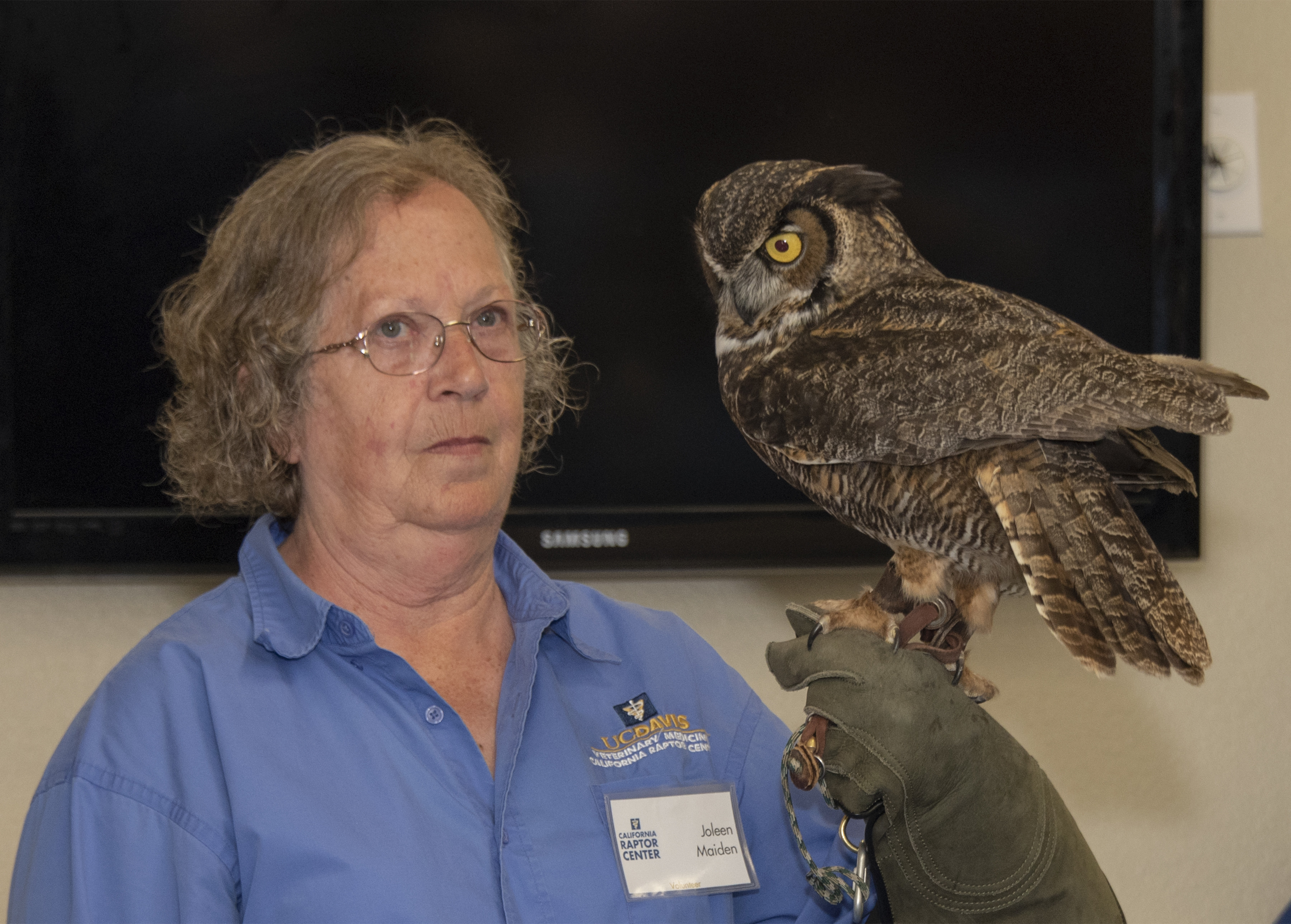 California Raptor Center visits Travis AFB > Travis Air Force Base ...
