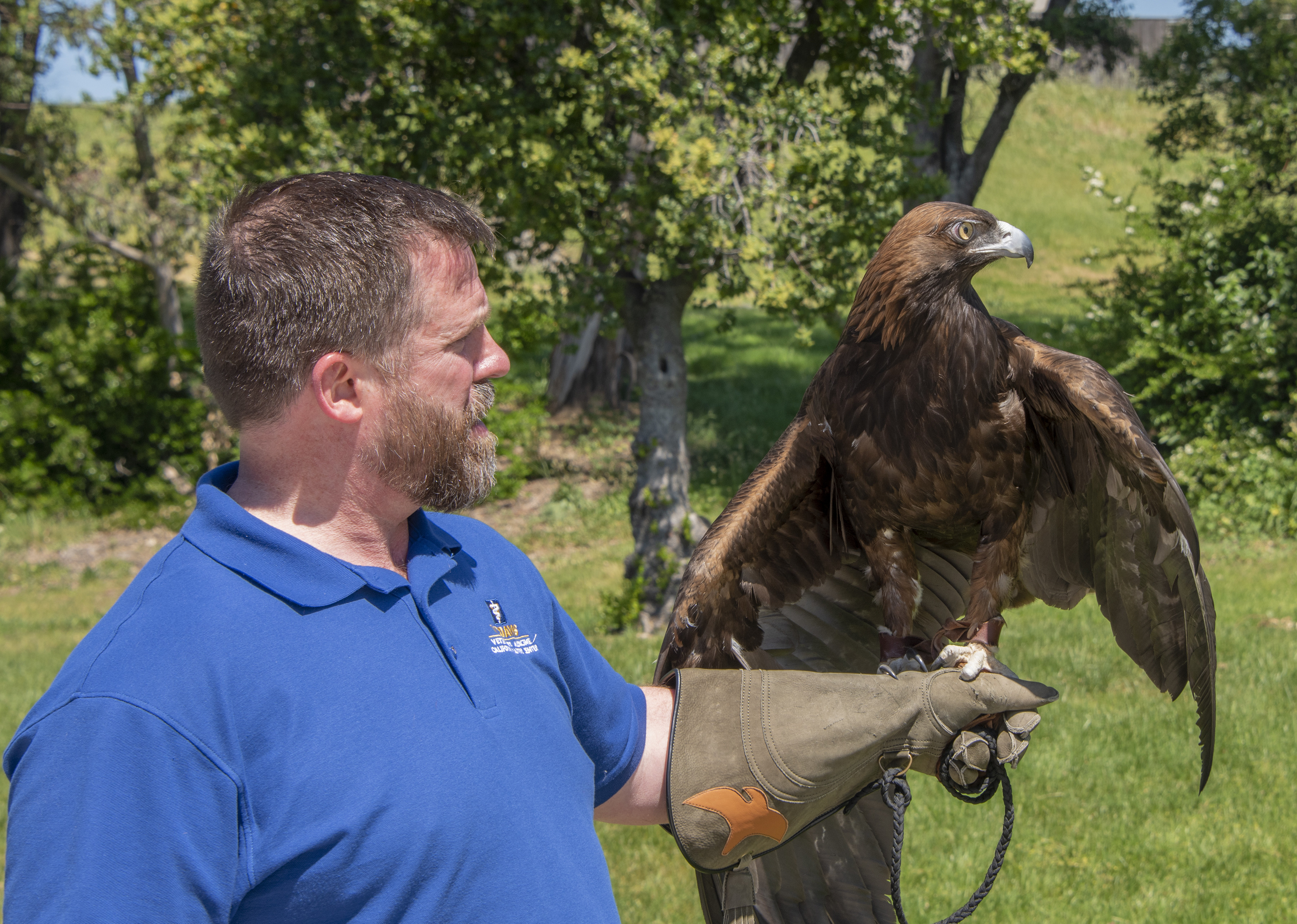 California Raptor Center visits Travis AFB > Travis Air Force Base ...