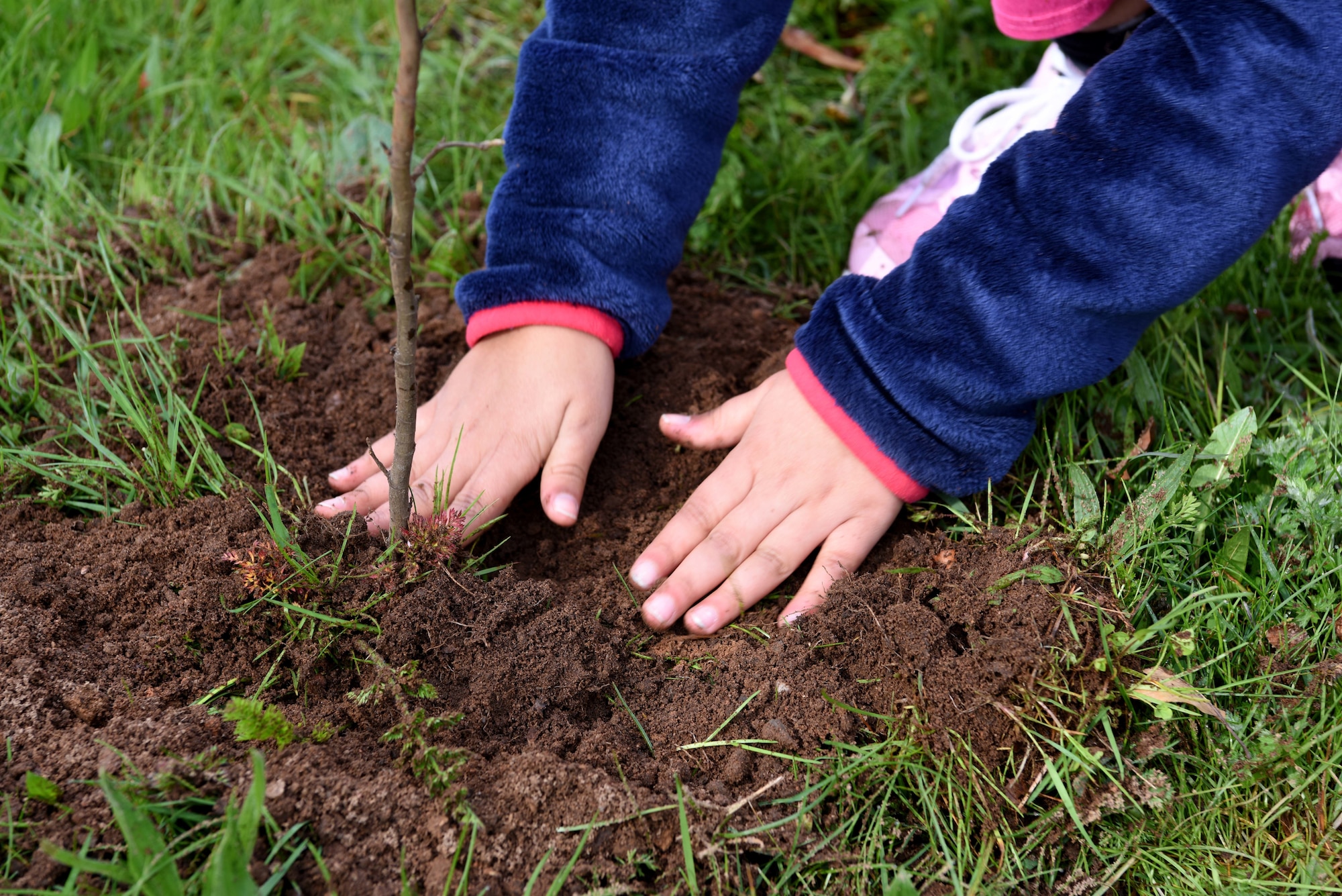 Ramstein honors Earth Day > Ramstein Air Base > Article Display