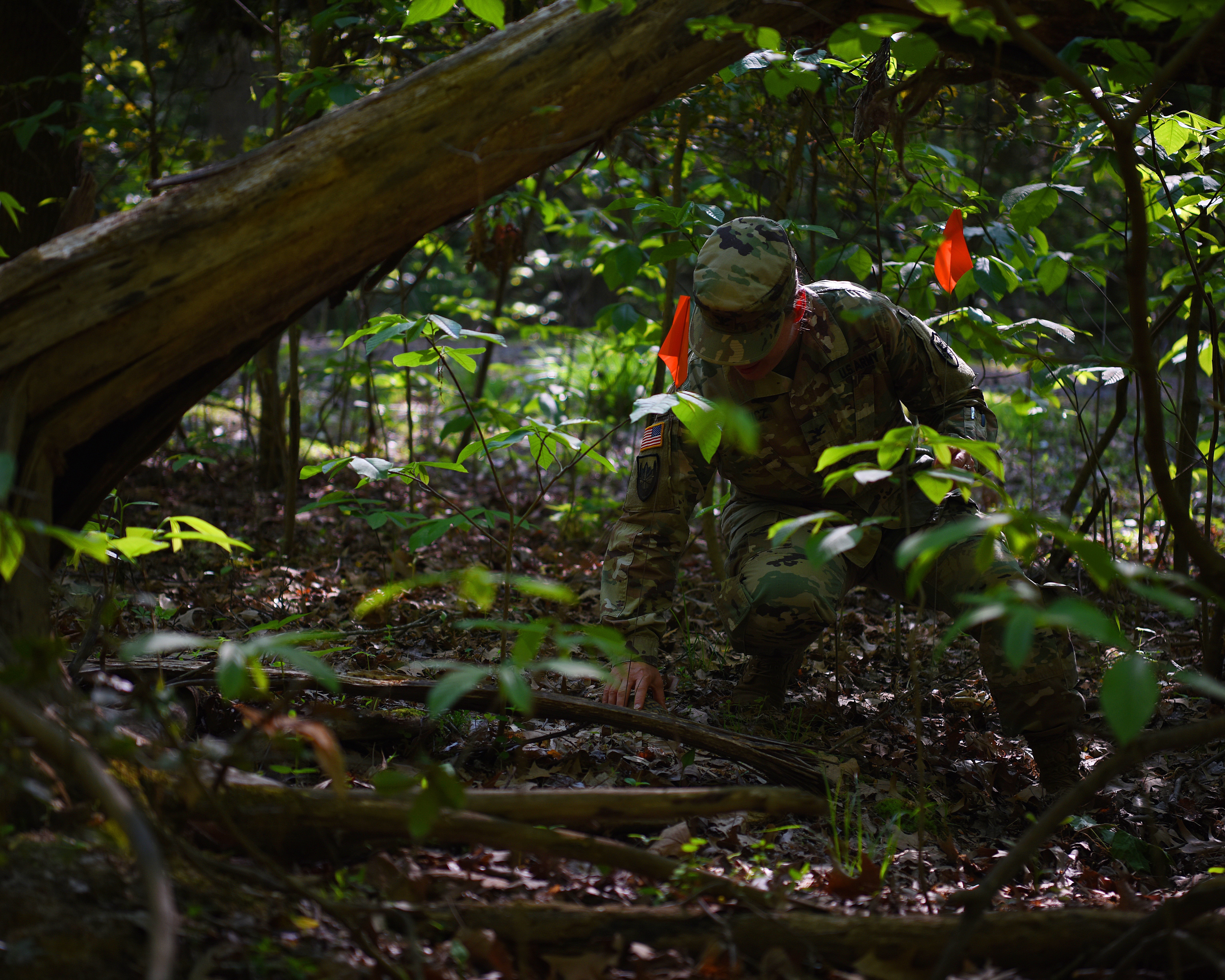 JBLE celebrates Earth Week > Joint Base Langley-Eustis > Article Display