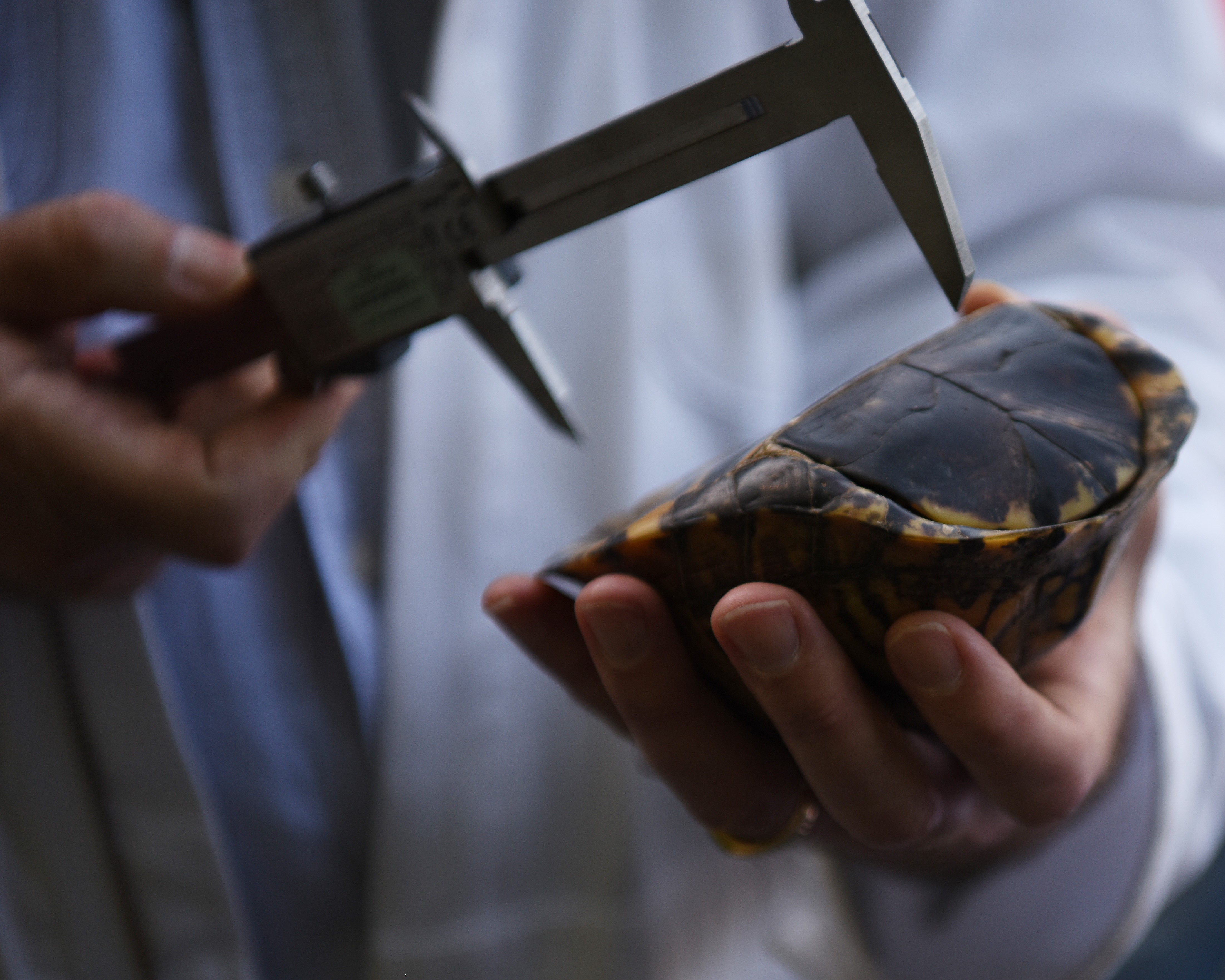 JBLE celebrates Earth Week > Joint Base Langley-Eustis > Article Display