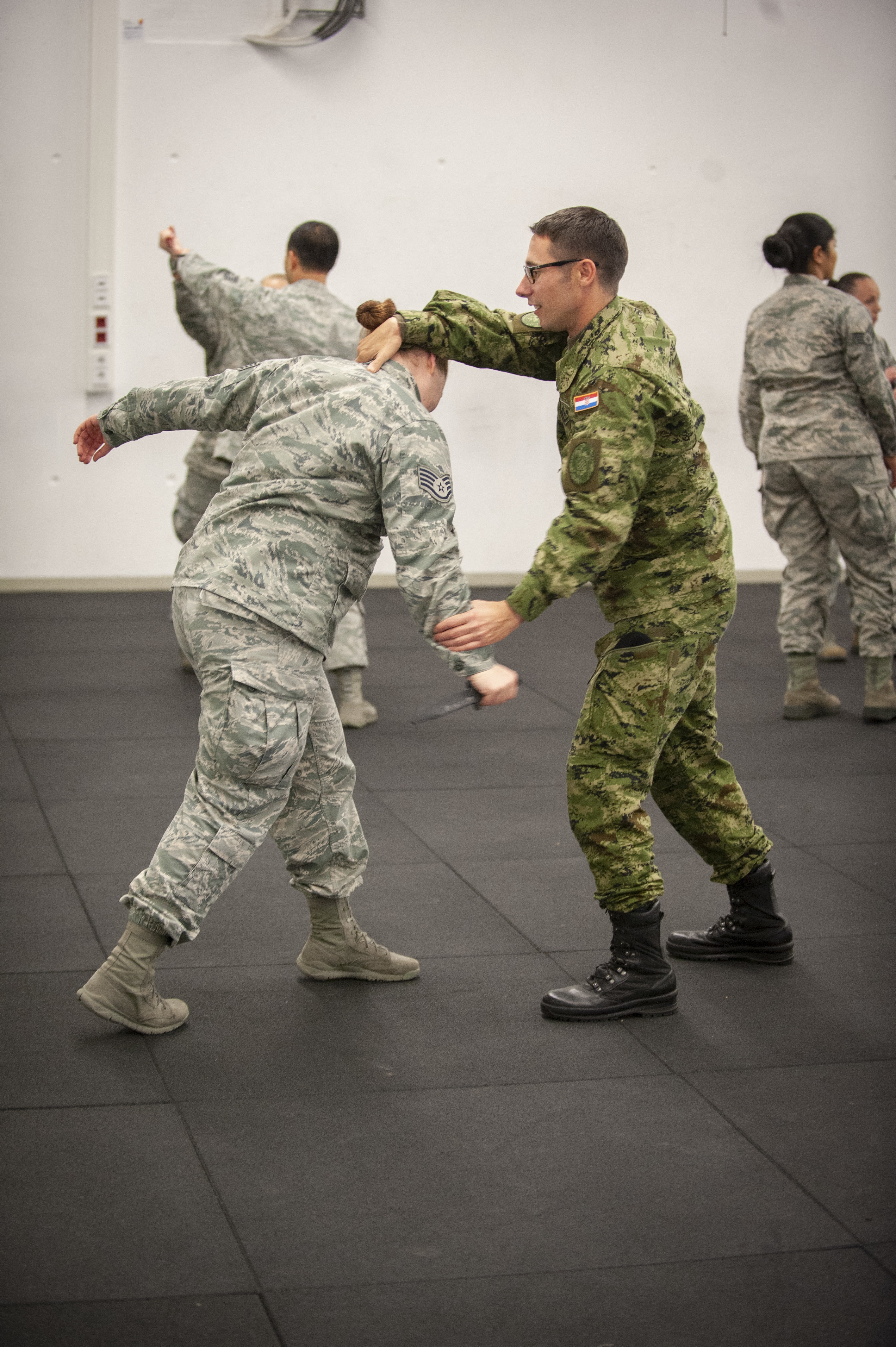 Atlantic Stripe: Molding, mentoring and developing today’s NCO > U.S ...