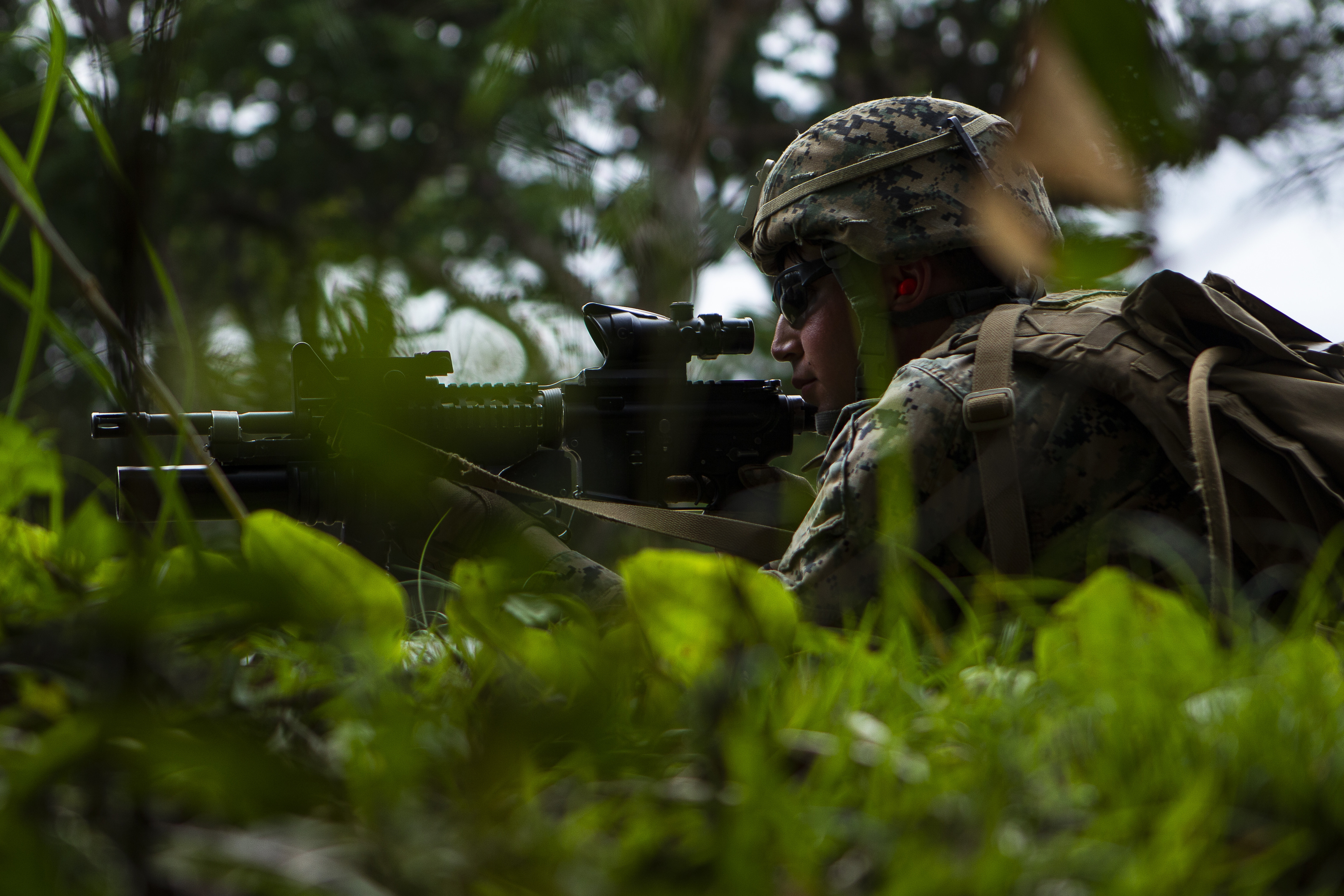 Corps seeks lighter, more capable rifle optic for combat arms Marines ...