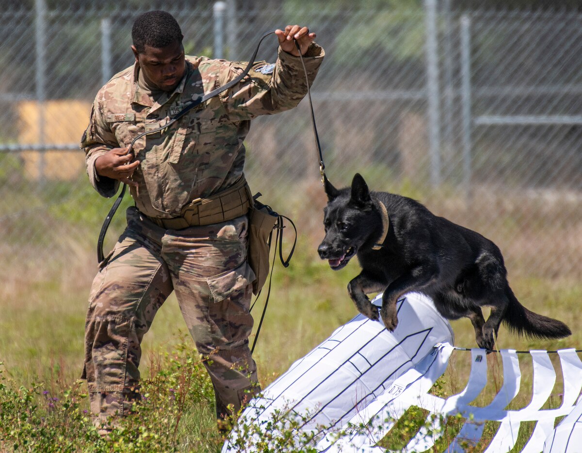 Local K-9 teams compete > Tinker Air Force Base > Article Display