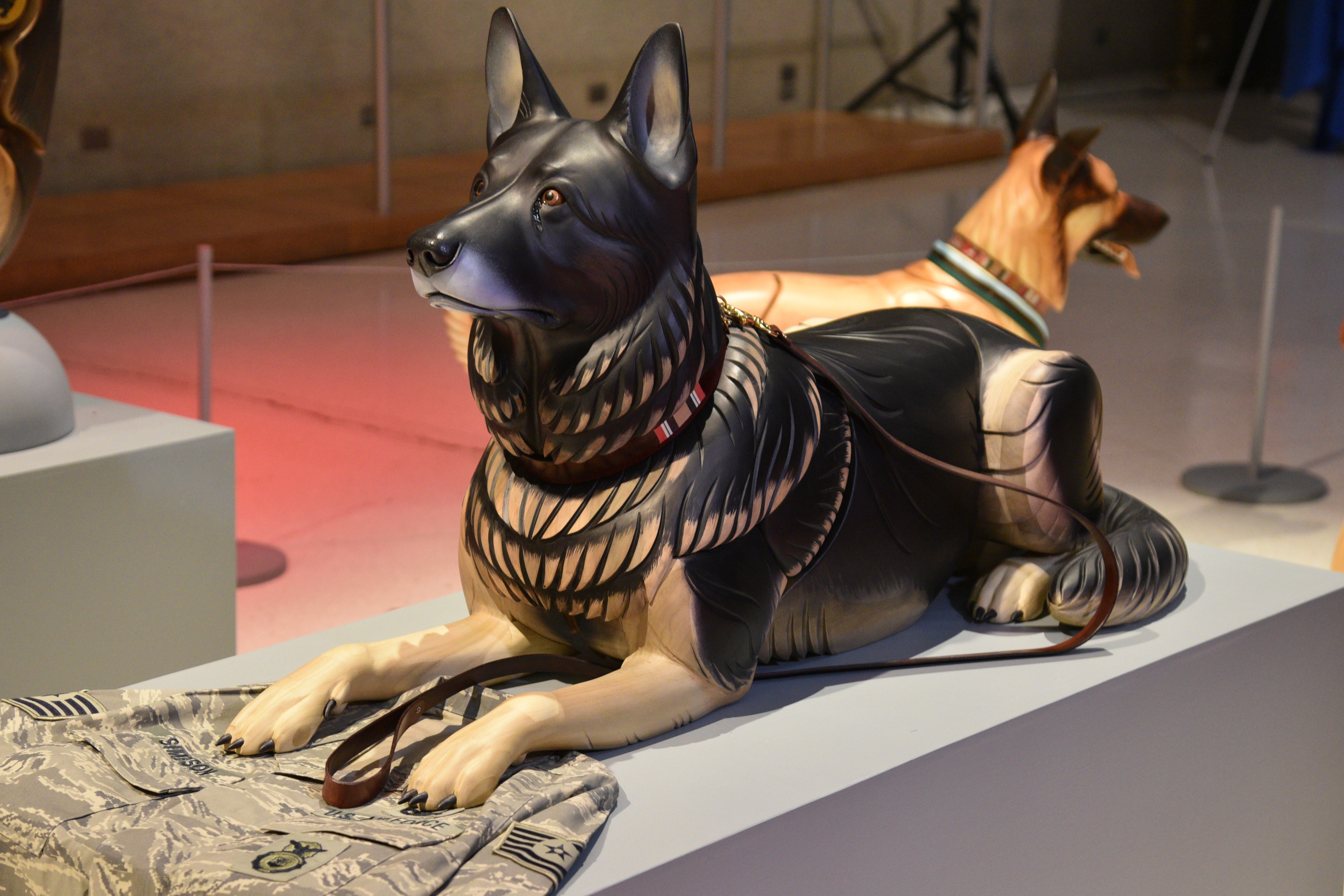 New Wounded Warrior Dog exhibit coming to National Museum USAF on Nov 8 ...