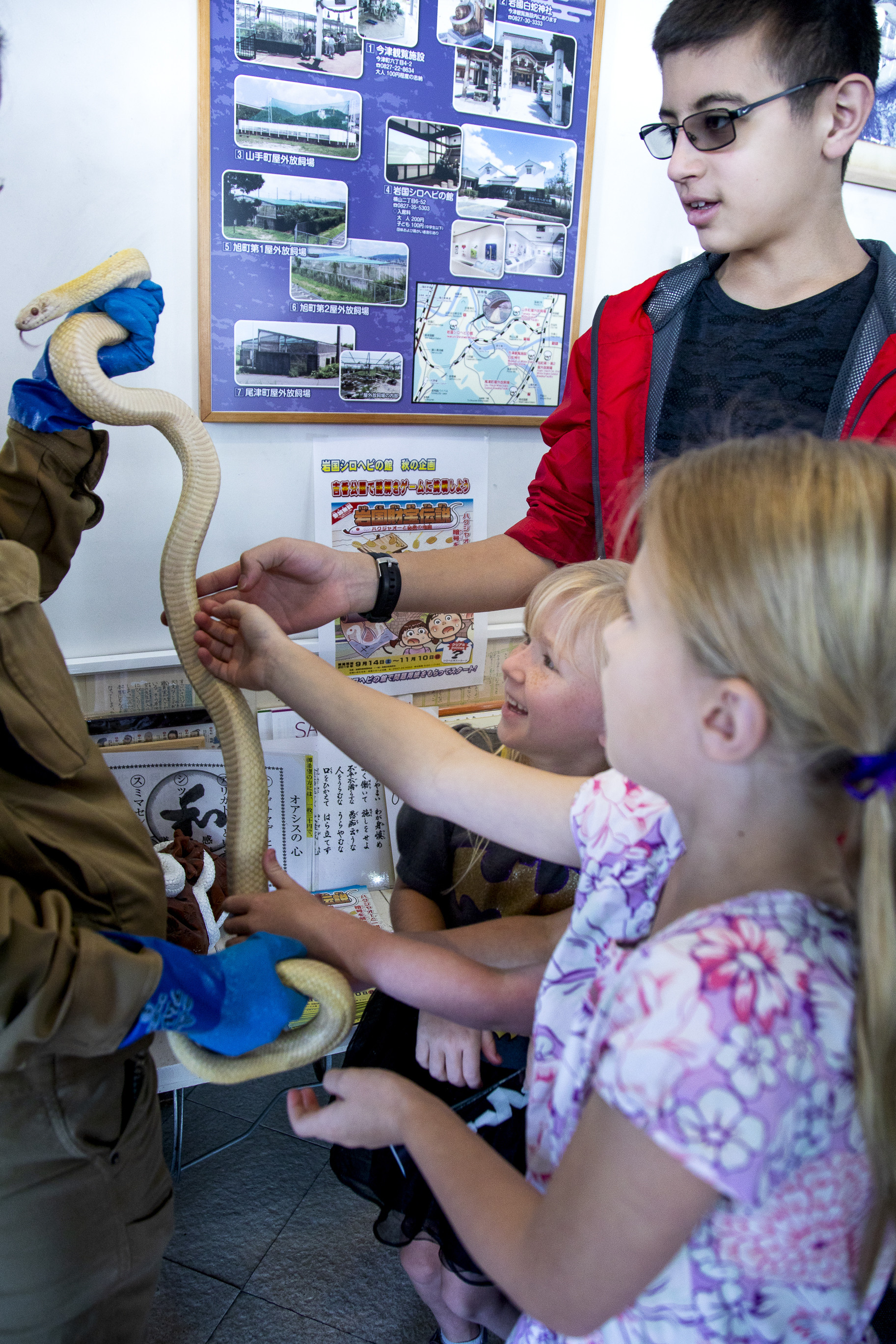 MCAS Iwakuni residents experience Iwakuni Shirohebi Shrine