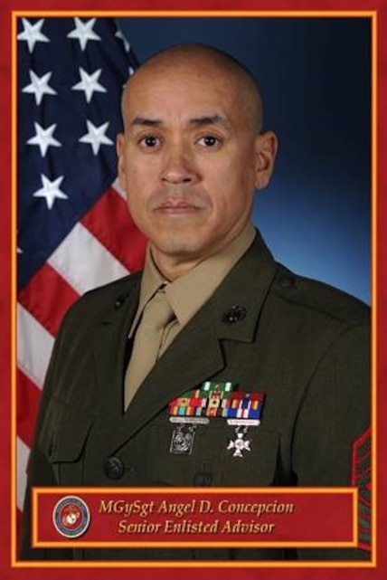 Master Gunnery Sergeant Angel D. Concepcion > Training Command > Biography