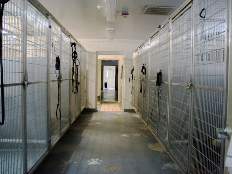 Construction to begin on new military working dog facility > 302nd ...