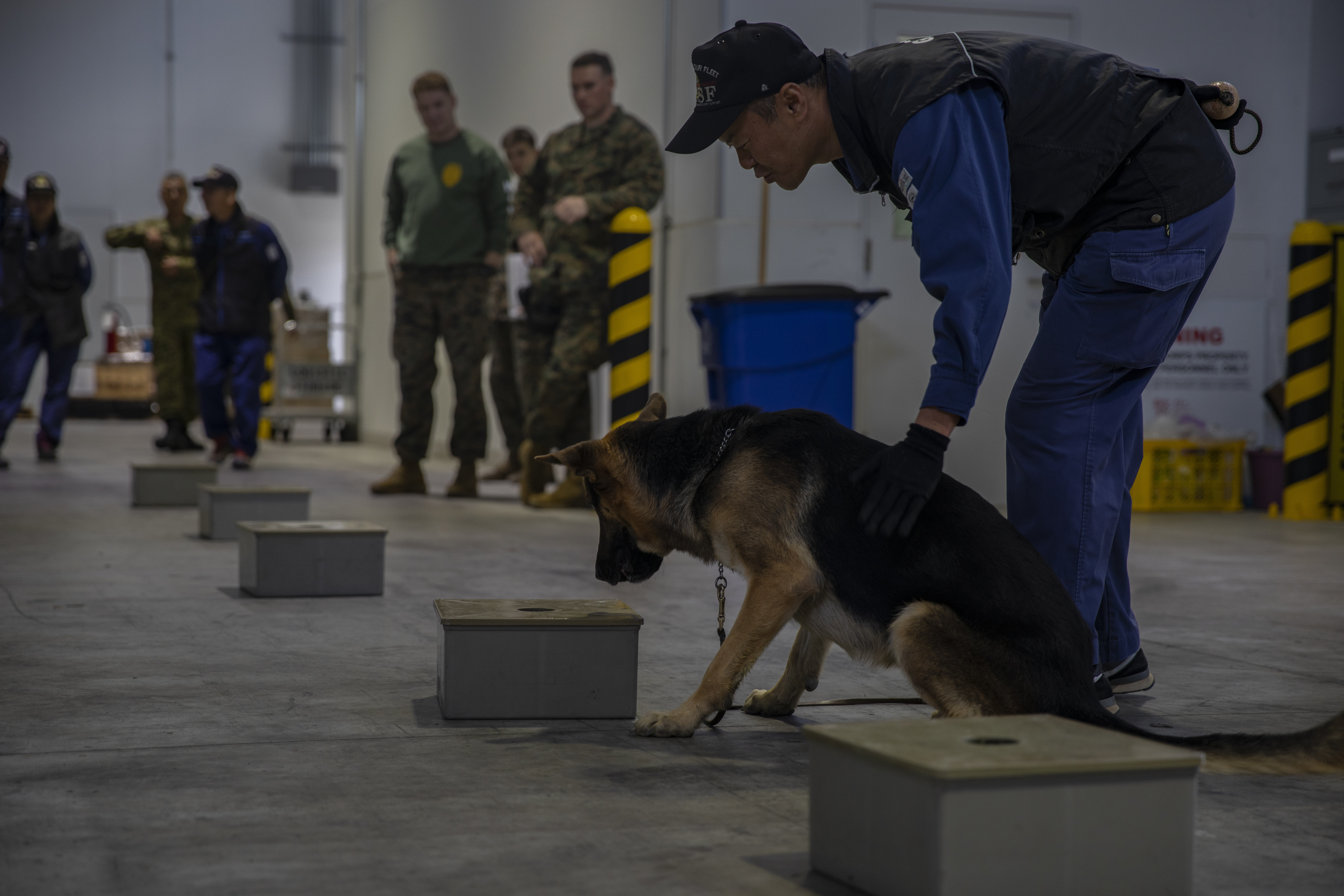 U.S. Marines and JMSDF members conduct MWD detection training exercises ...