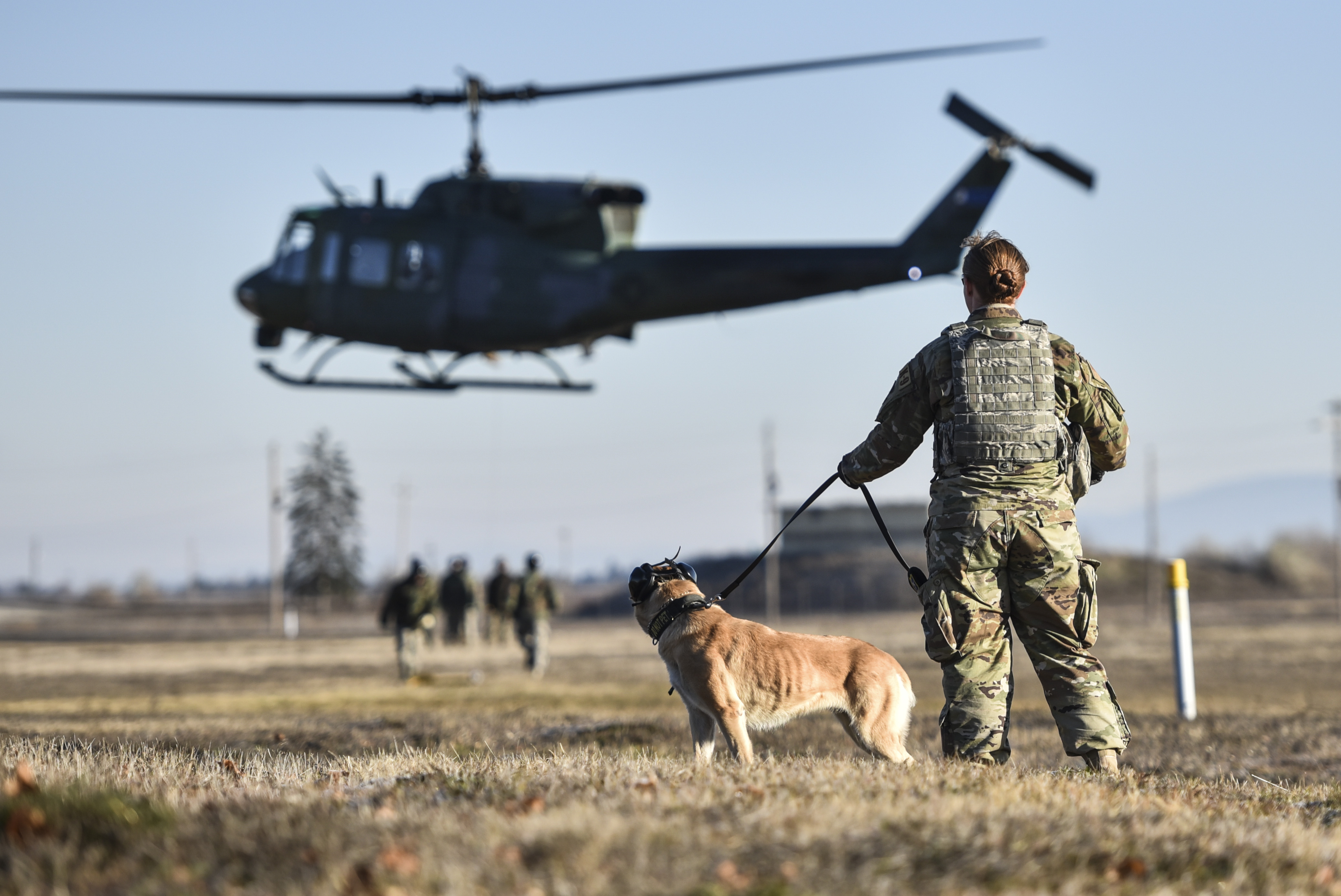 Fairchild Military Working Dogs participate in Huey training > Air ...