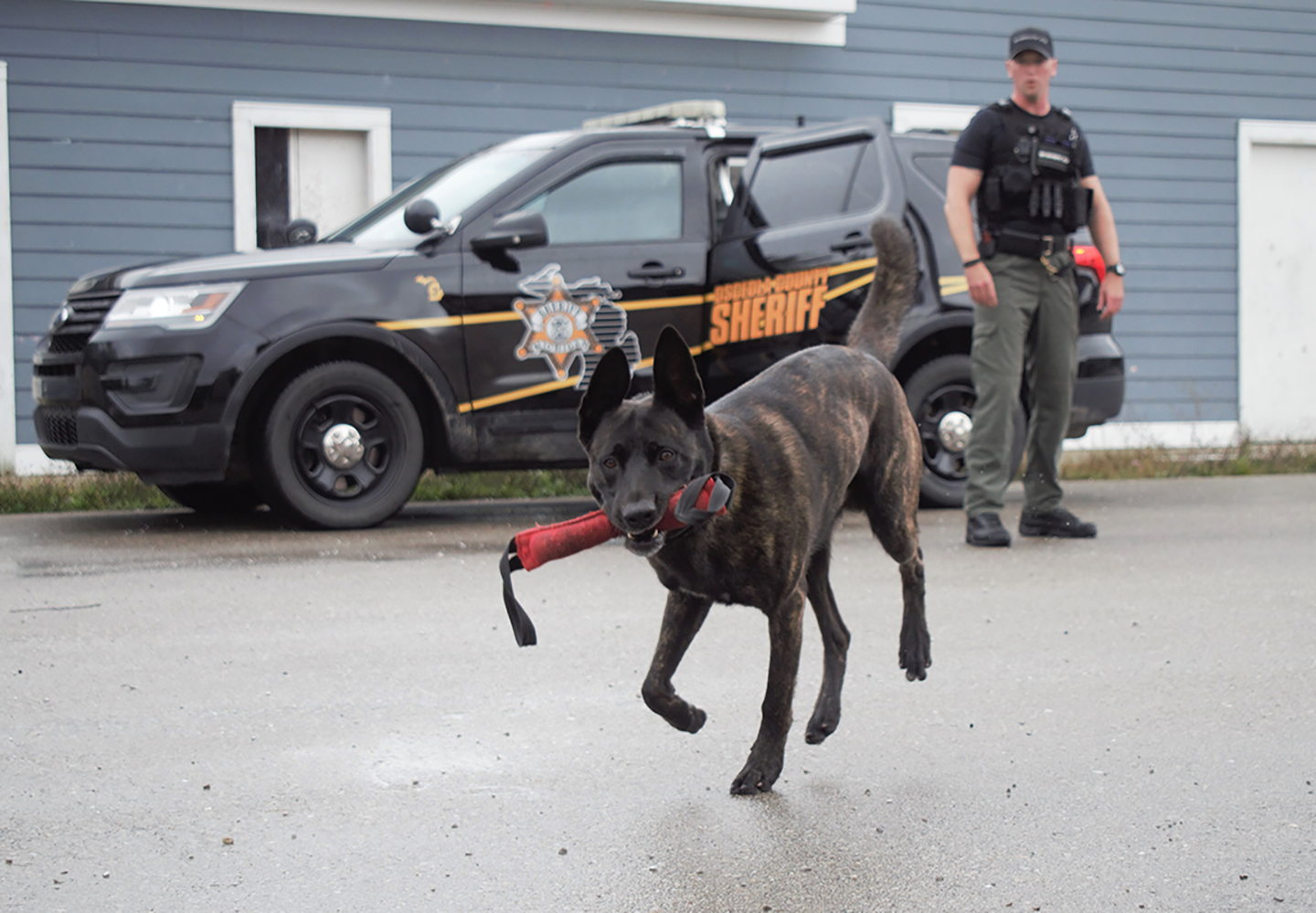 Michigan ANG provides venue for multinational K-9 training > National ...