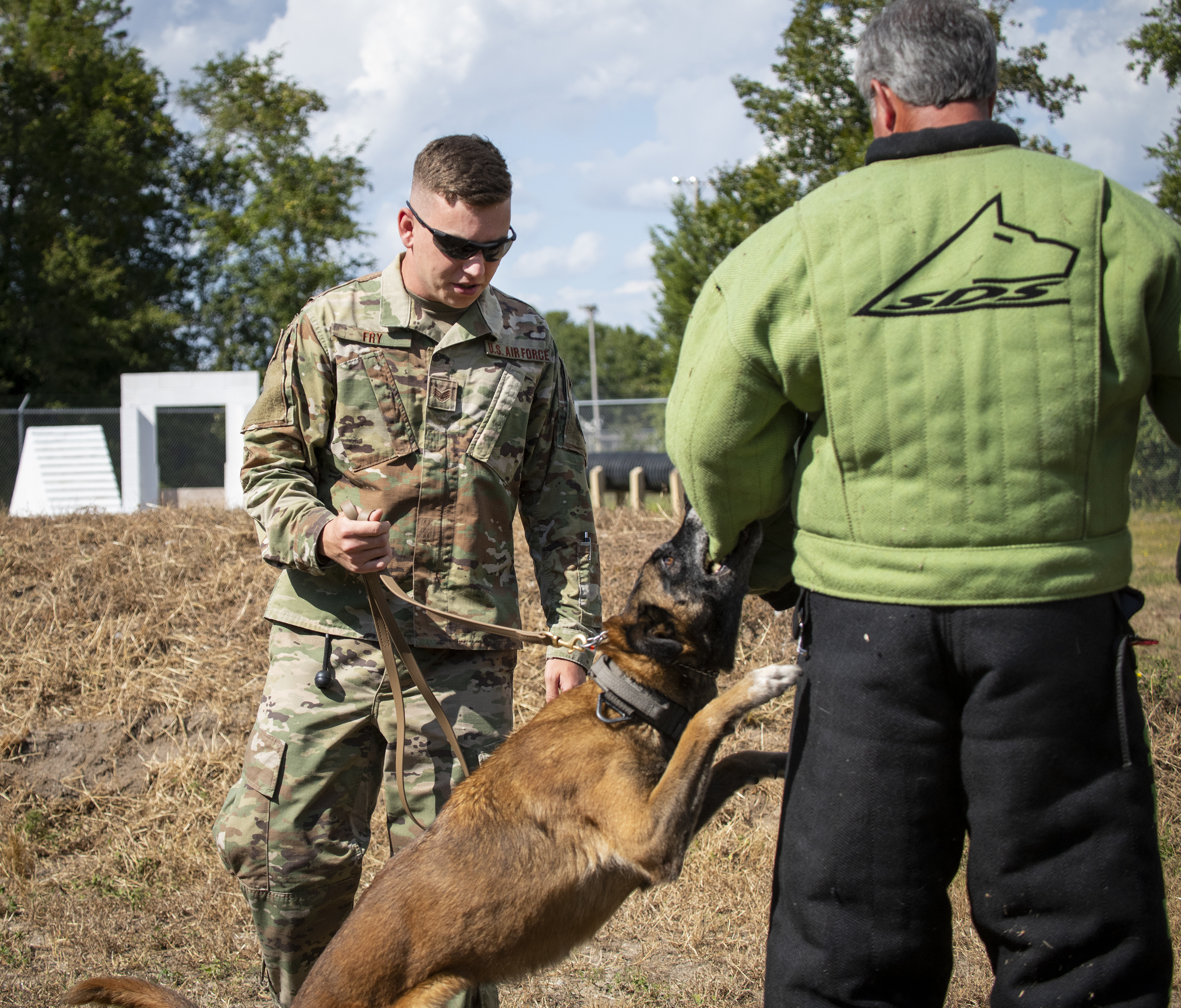 Stamps go to the Dogs > Air Force Materiel Command > Article Display