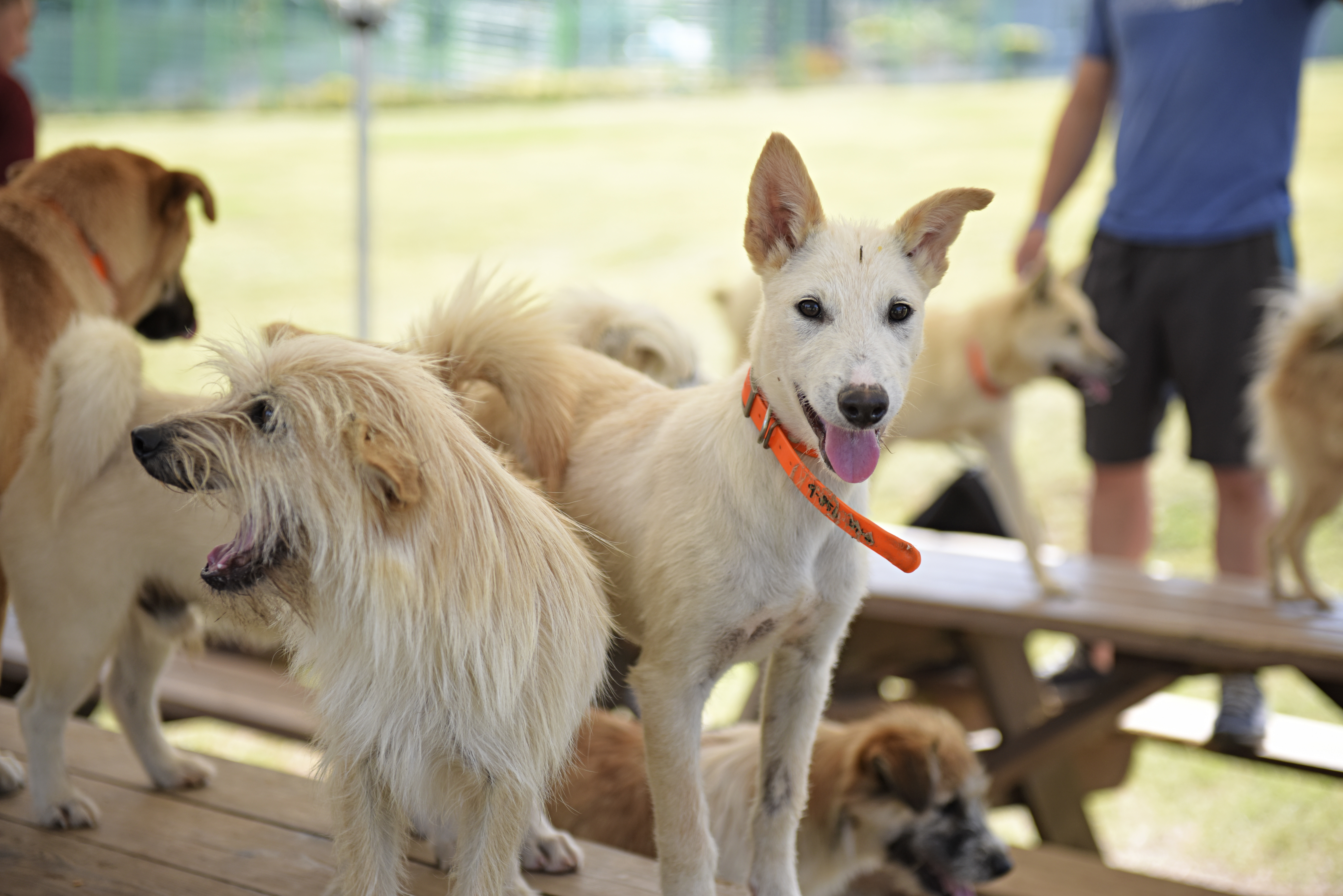 8th FW Airman finds his purpose at the Wolf Pack > Seventh Air Force ...