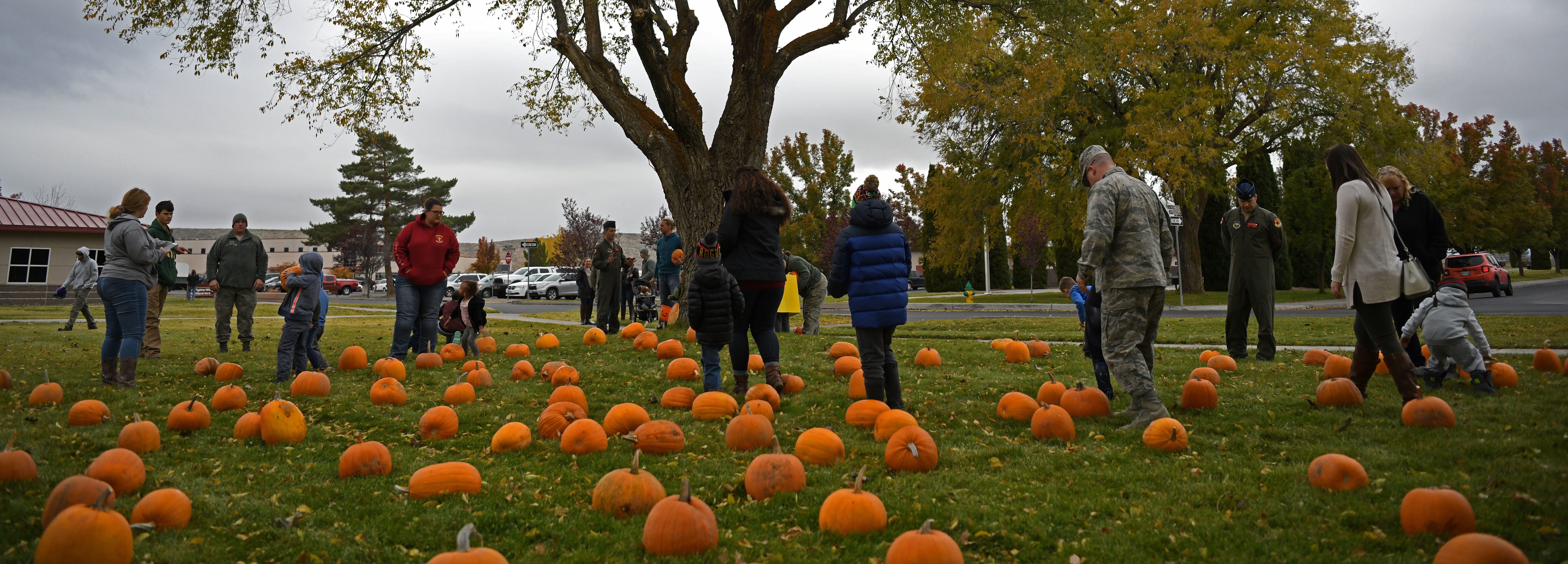 Team Kingsley hosts annual Family Day event > Department of the Air ...