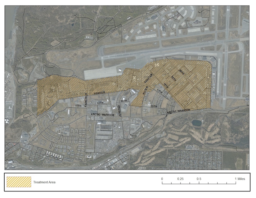 JBER's BASH program uses tree removal project > Joint Base Elmendorf-Richardson > News