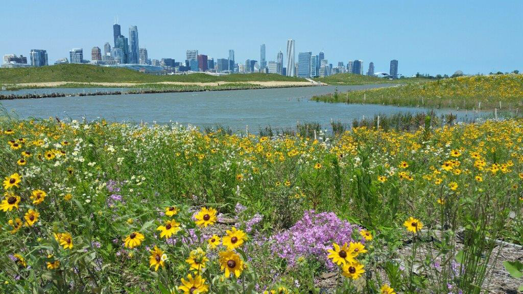USACE Chicago District Ecosystem Restoration Master Plan team, partners ...