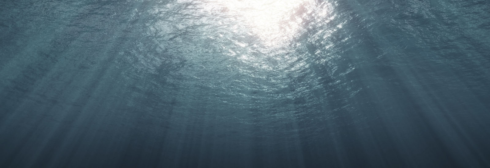 Bio Background Template