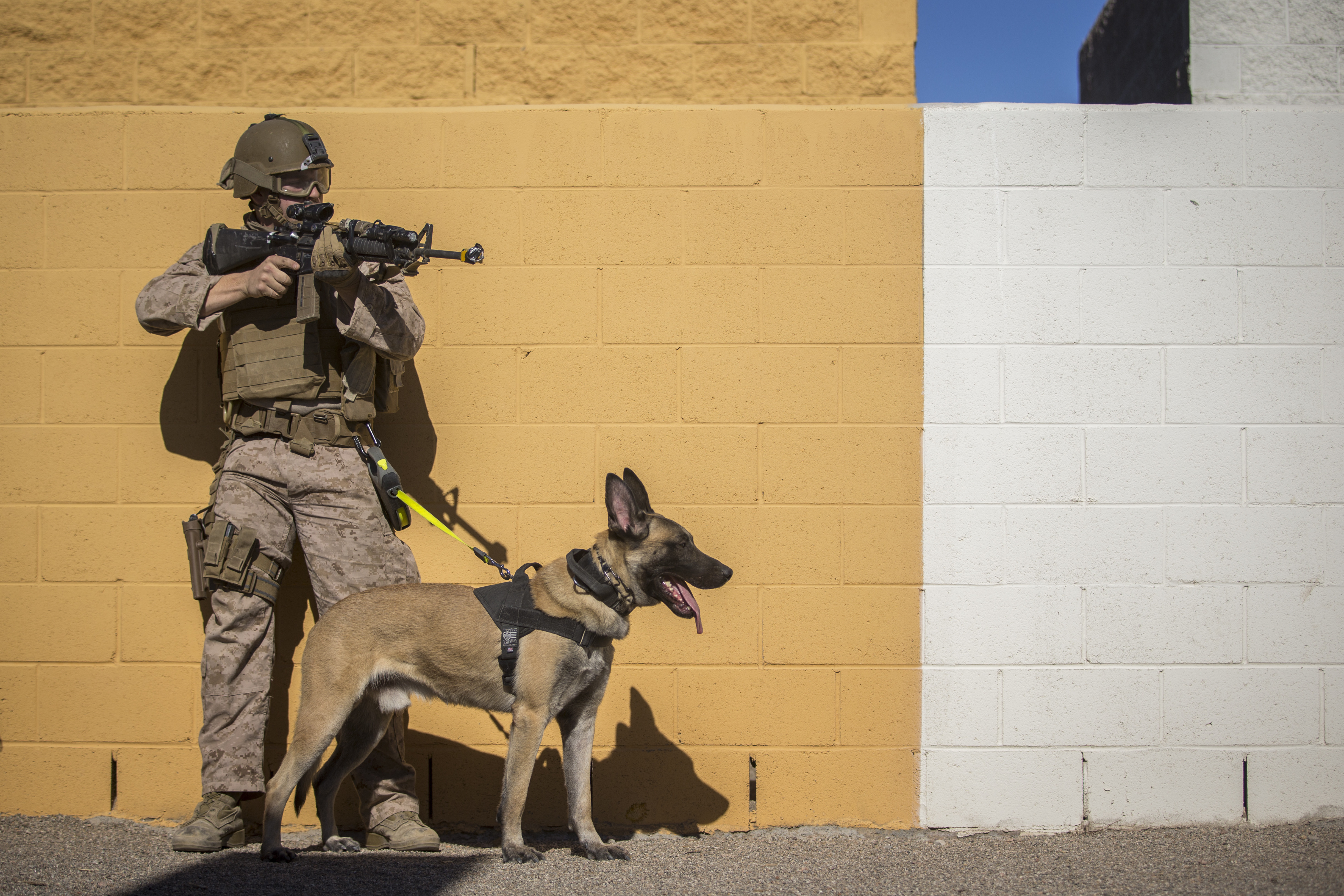 Dogs of War > Marine Corps Air Station Yuma > News