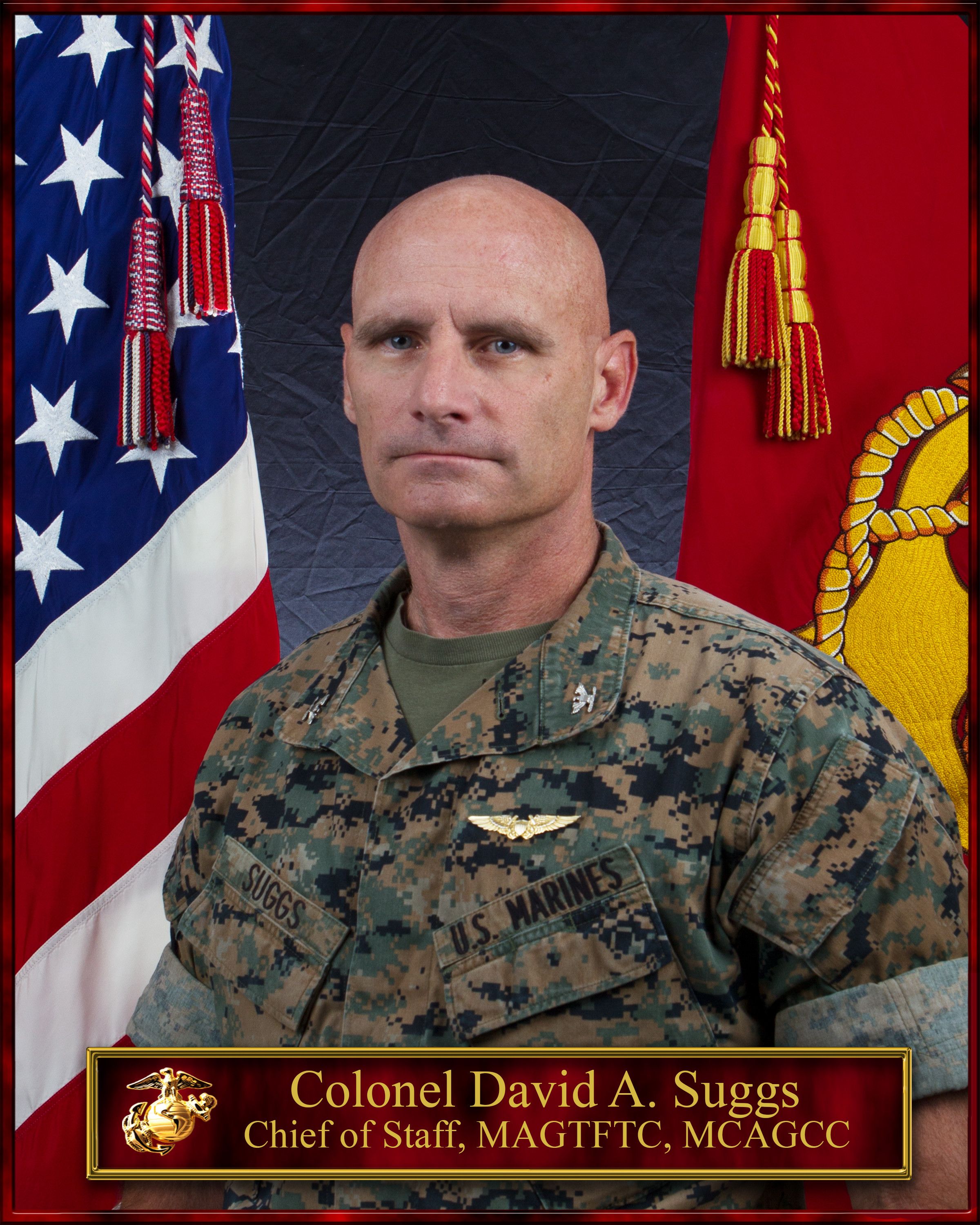 Colonel David A. Suggs