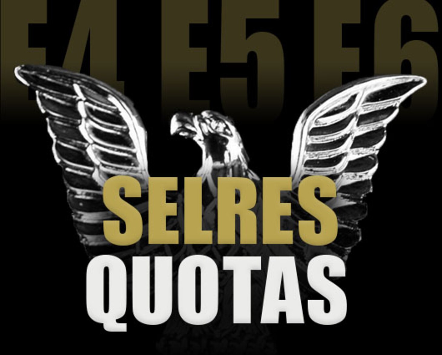 E4 E6 SELRES Quotas Released U S Navy All Hands Stories