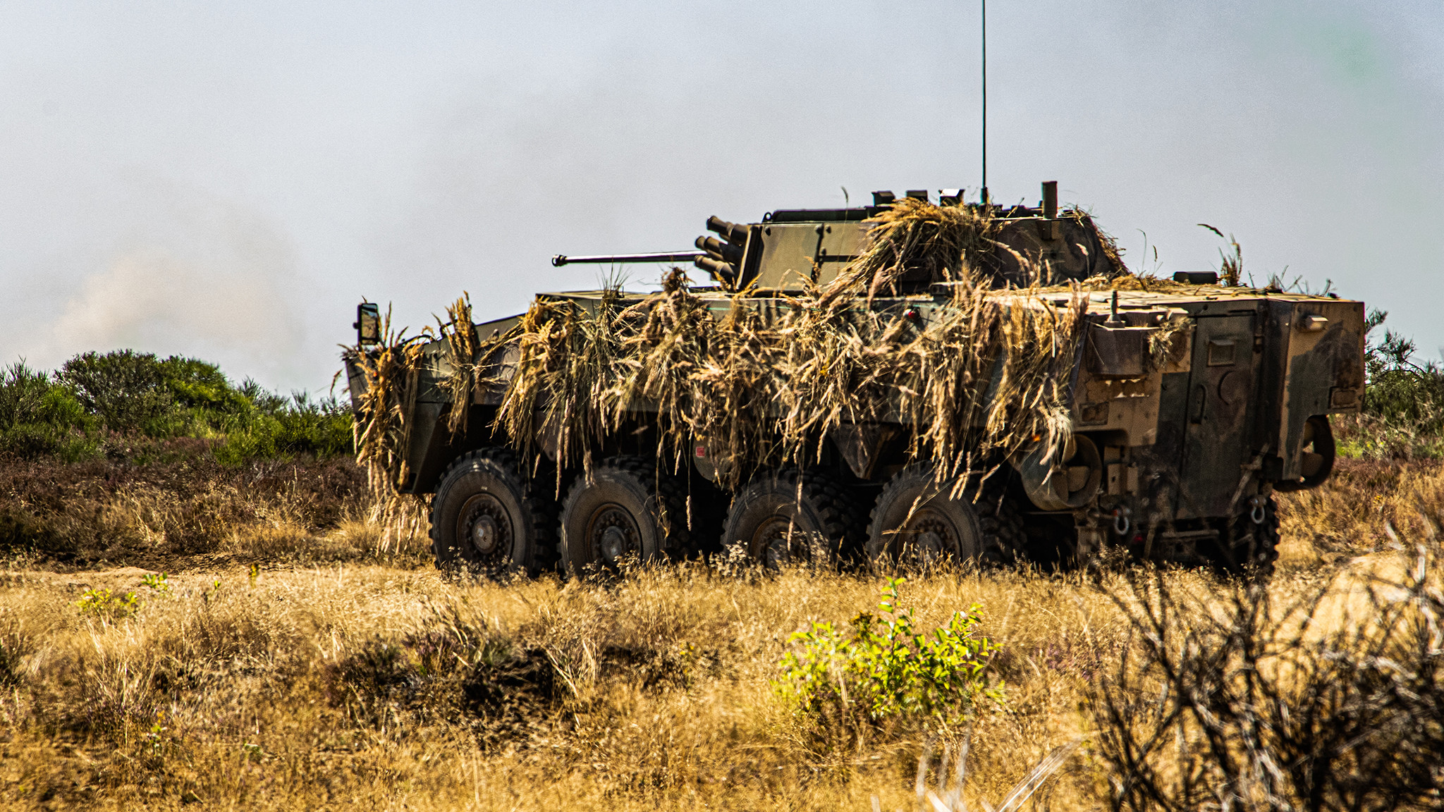 Defender Europe 20 Phase II Combined Live Fire Exercise