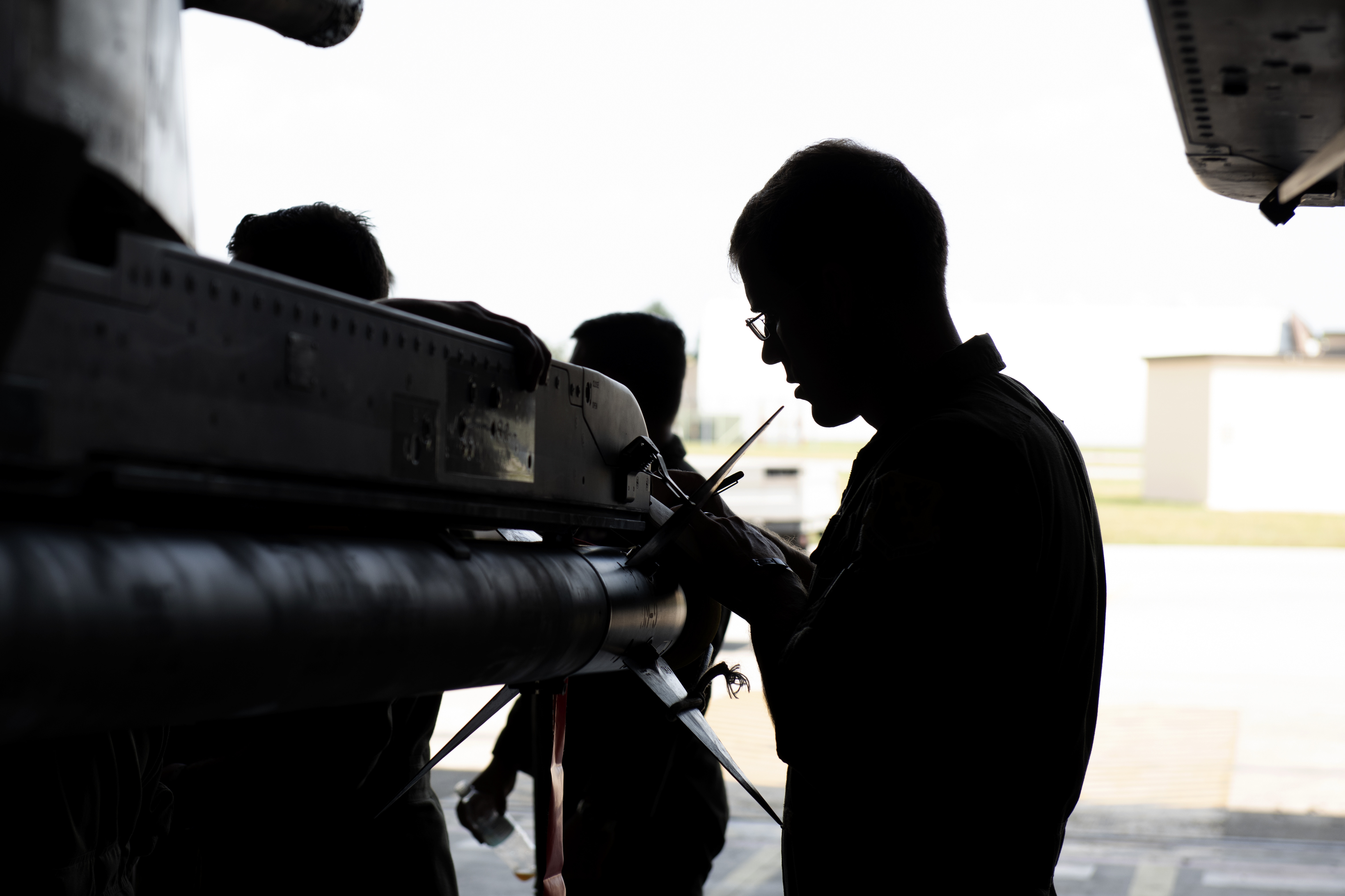 Birds of a feather host morale event together > Aviano Air Base > Display