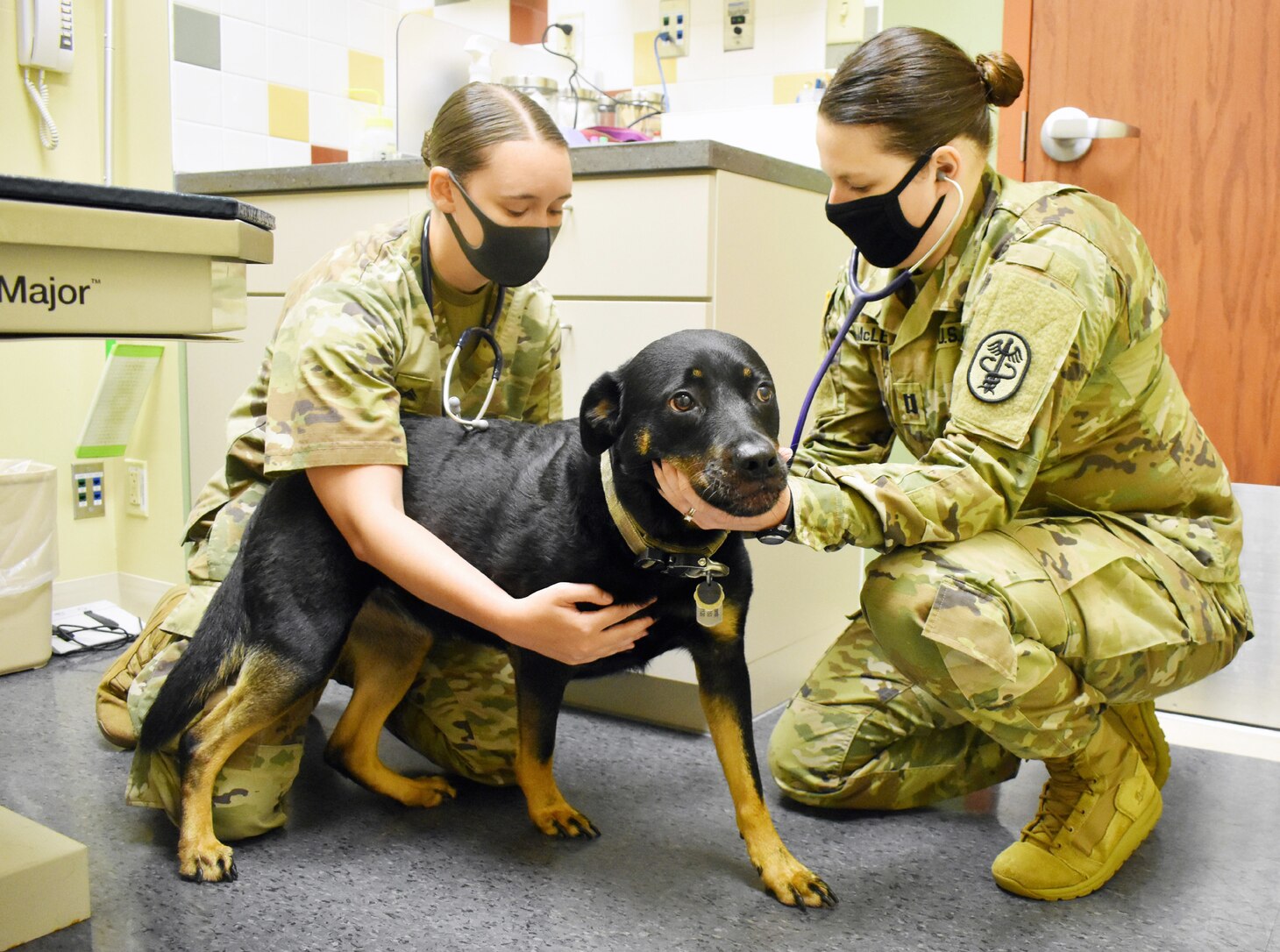 Trust Allows Camp Zama Veterinary Team to Accomplish Mission Under ...