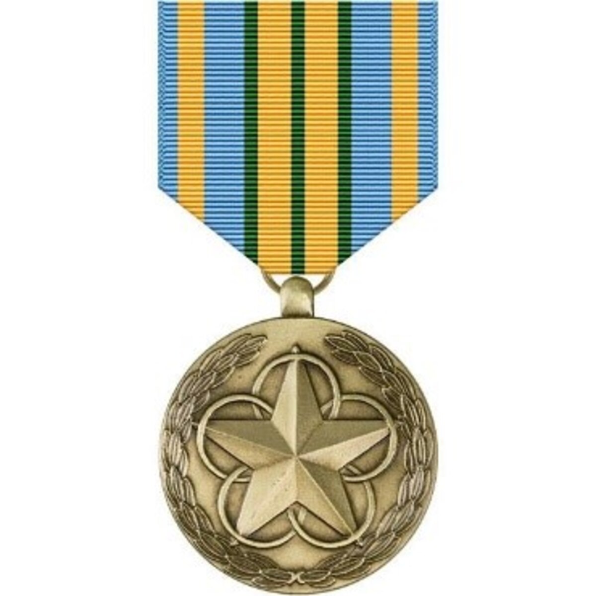 SA earns prestigious volunteer medal > Office of Special Investigations ...