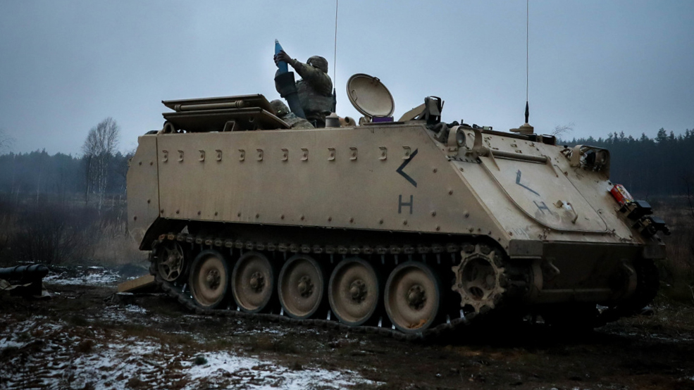 Stallions are Ready to Fight