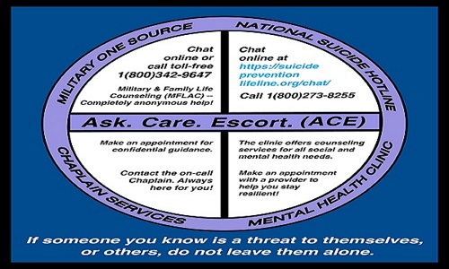 Ask, Care, Escort (ACE)