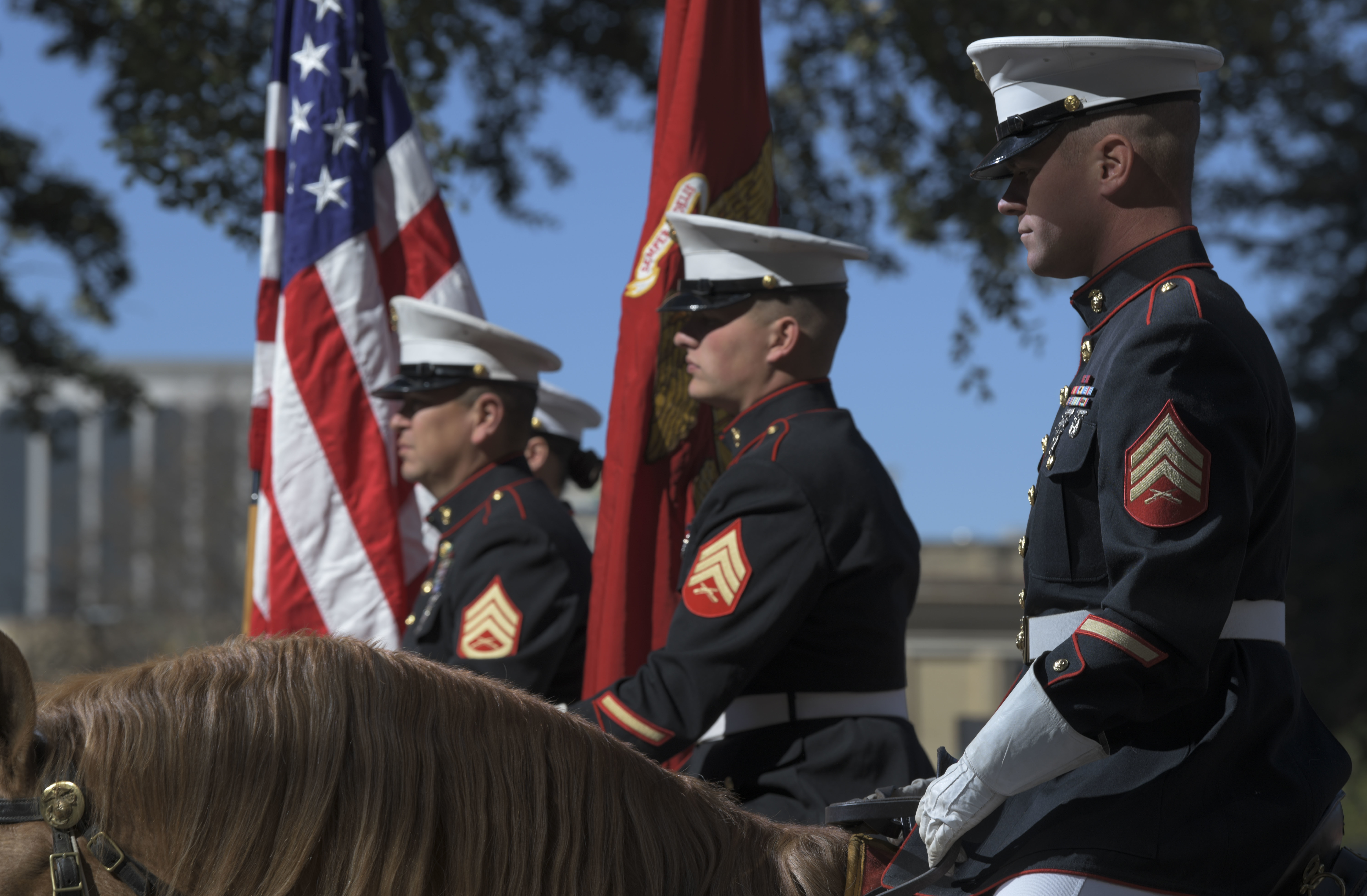 20 OF THE MOST INFLUENTIAL PHOTOS FROM FEBRUARY 2020 > United States ...