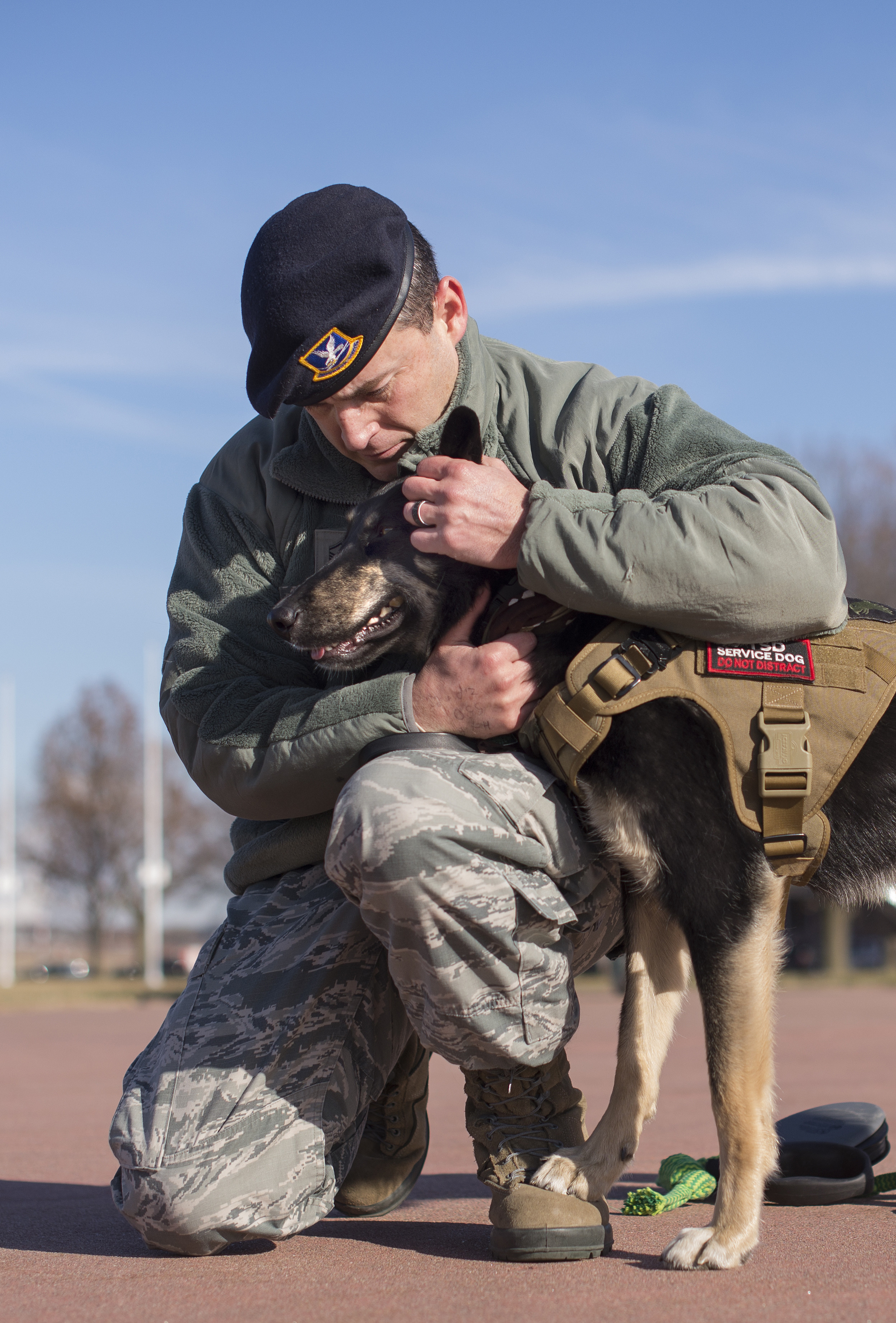 Rescue dogs help heal wounded warriors > Air Force Wounded Warrior ...