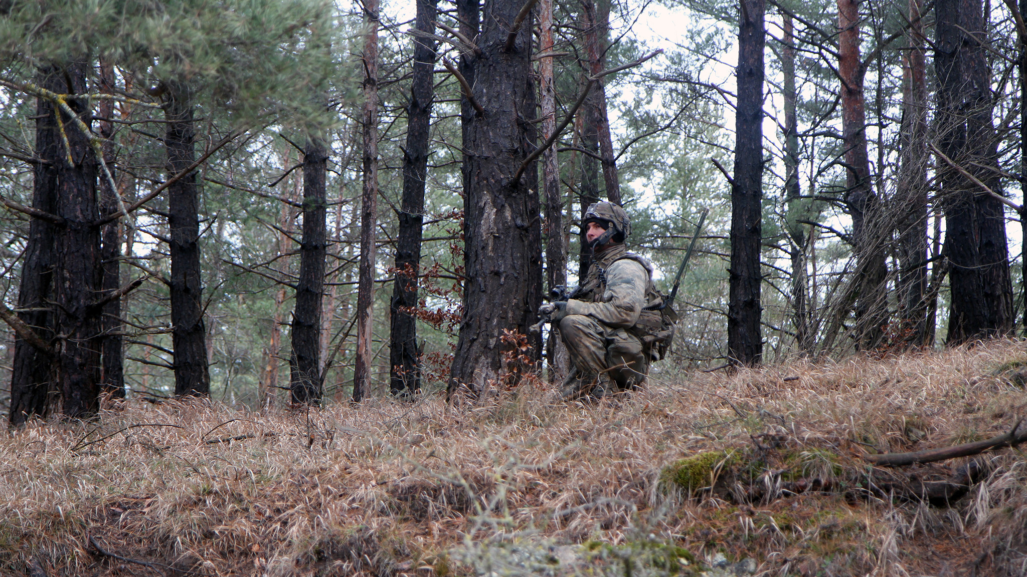 Cavalry Scout: the eyes and ears of the Cavalry