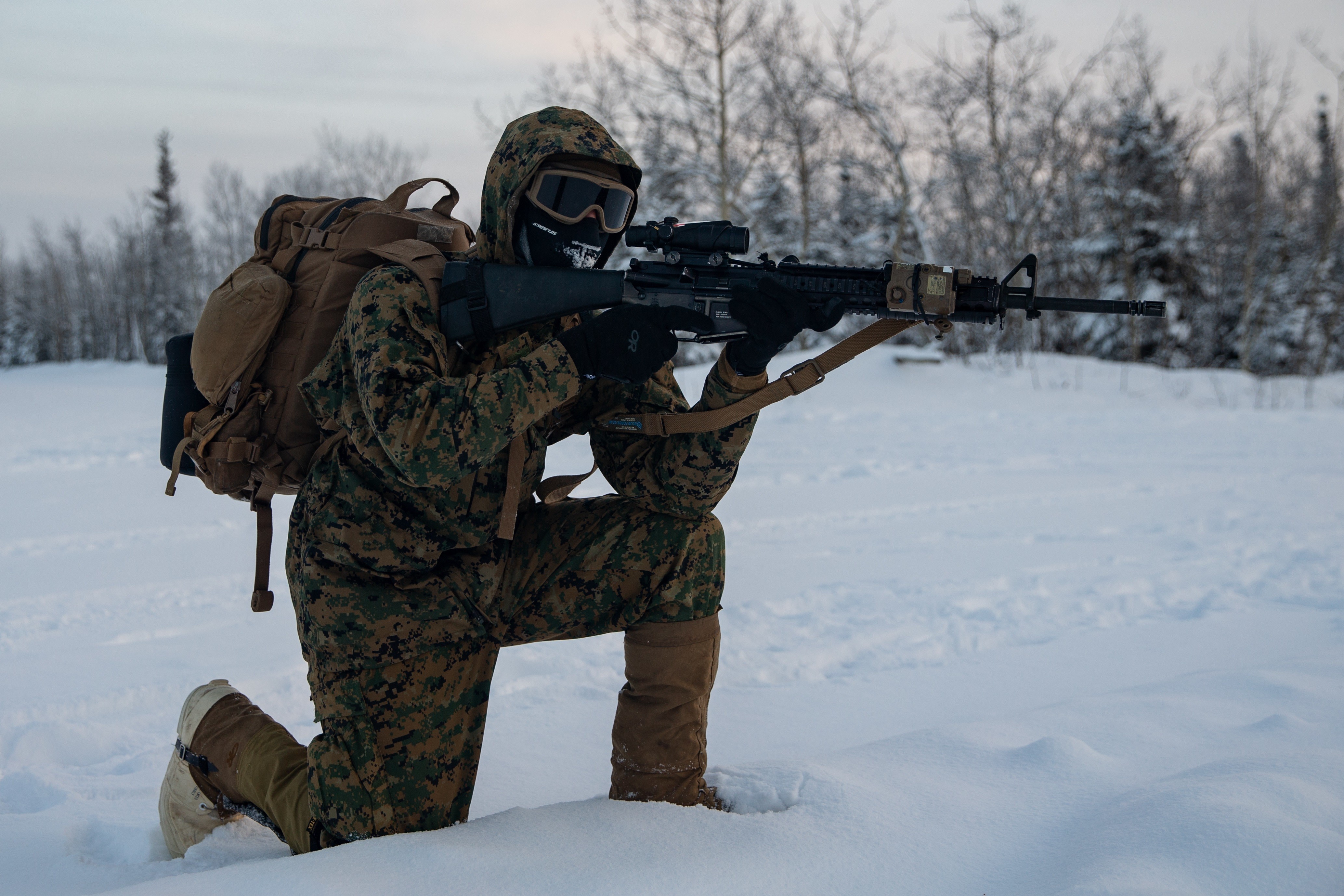 2nd LAAD Marines practice using ski equipment