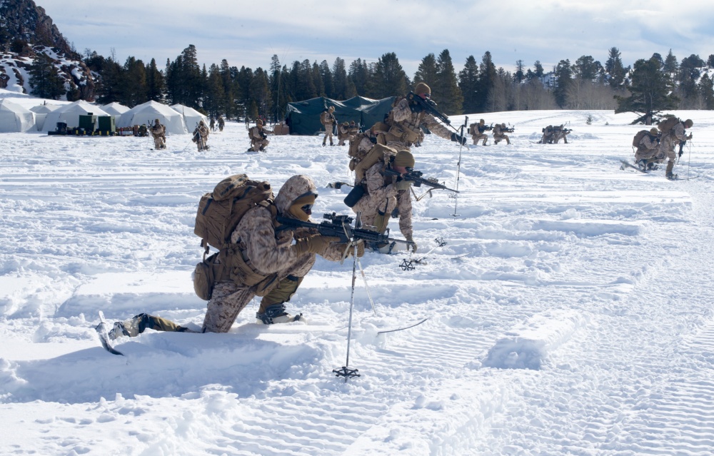 3rd Battalion, 8th Marine Regiment practice fire team maneuvers on skis