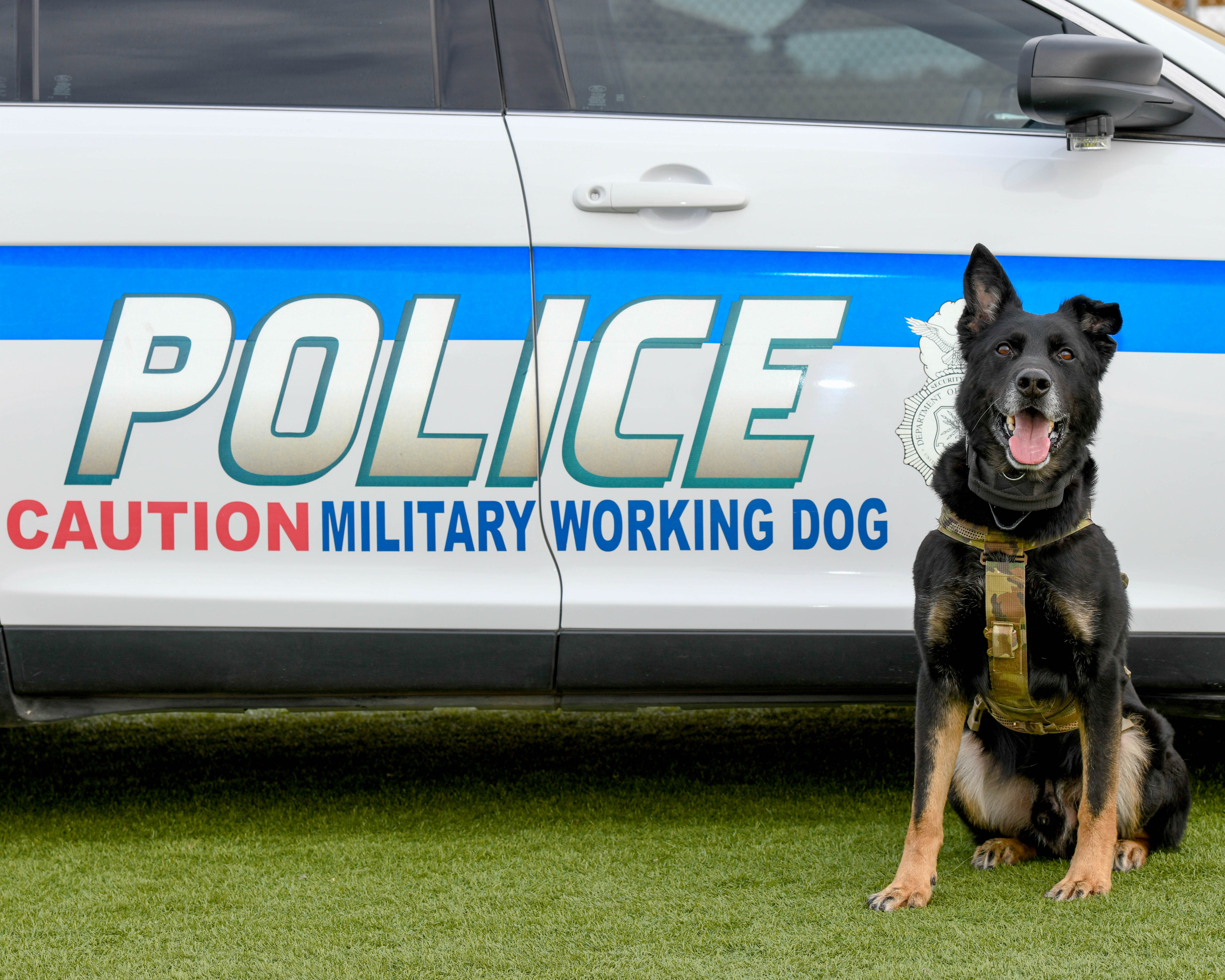 A look at Luke’s MWDs > Luke Air Force Base > Article Display