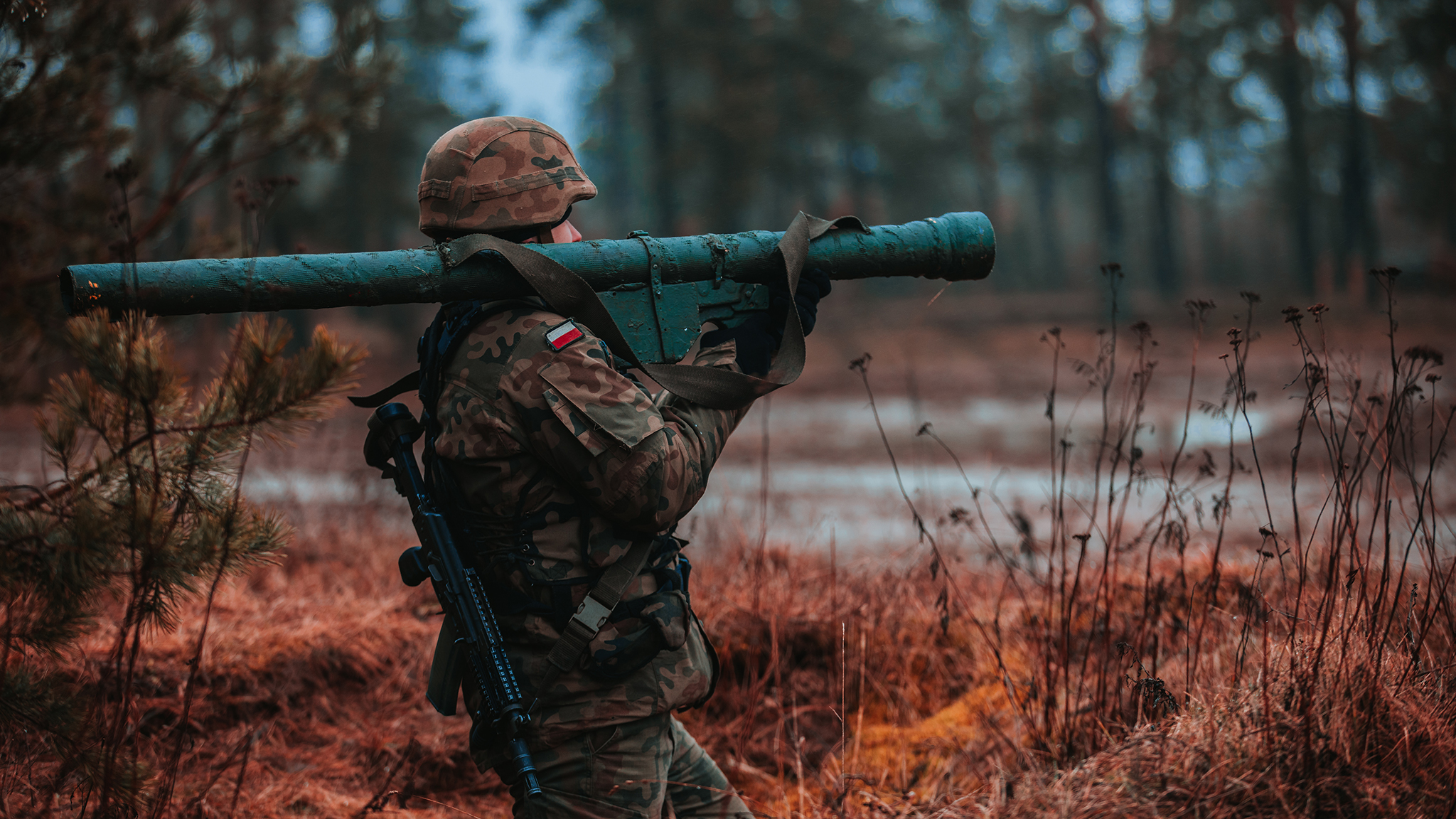 Polish and Romanian Soldiers work together in support of NATO's enhanced Forward Presence Battle ...