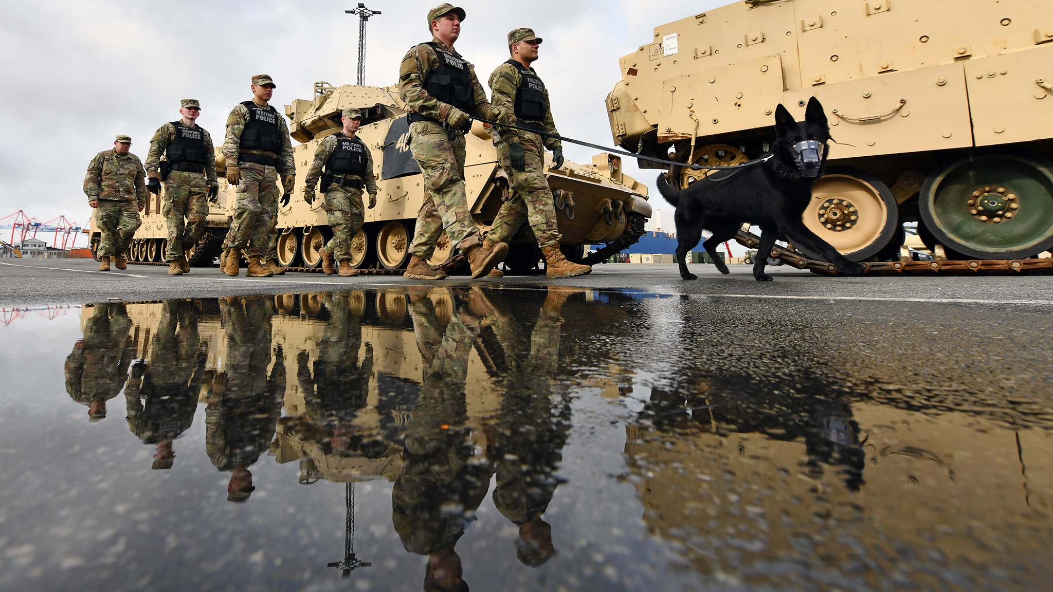 100th Military Working Dog Detachment conduct security rounds at ...