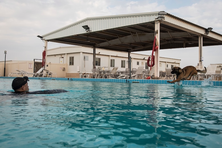MWD water-based training opens as base pool closes > U.S. Air Forces ...